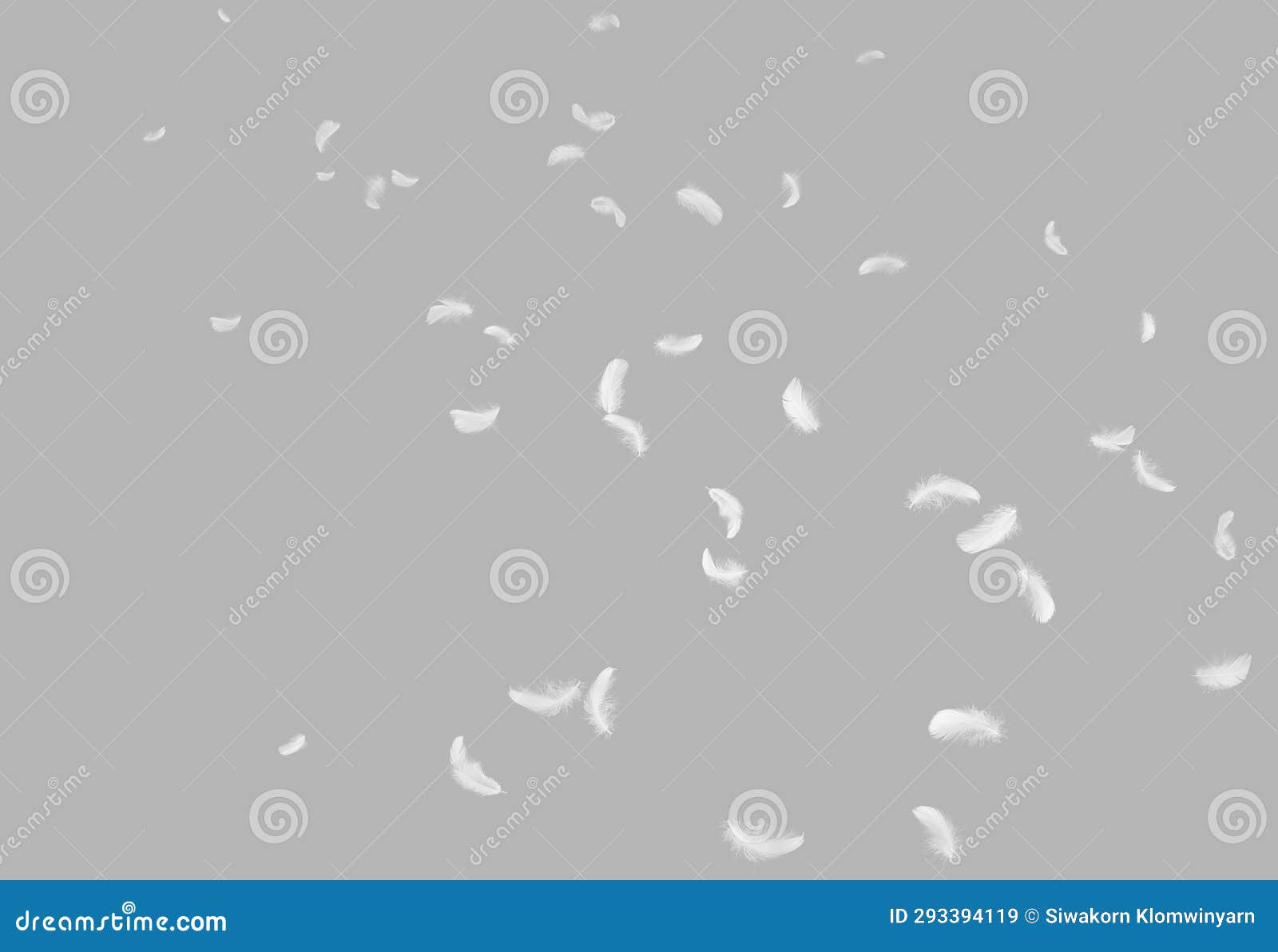 Abstract White Bird Feathers Falling in the Air. Floating Feathers ...