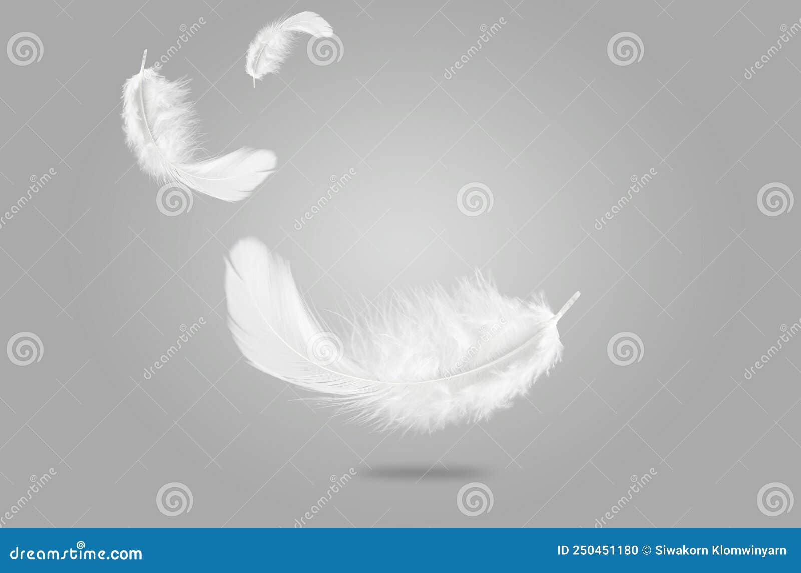 Abstract White Bird Feathers Falling in the Air. Feathers on Gray ...