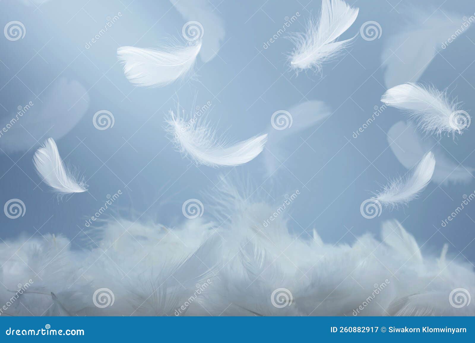 Abstract White Bird Feathers Falling in the Air. Softness of Swan ...