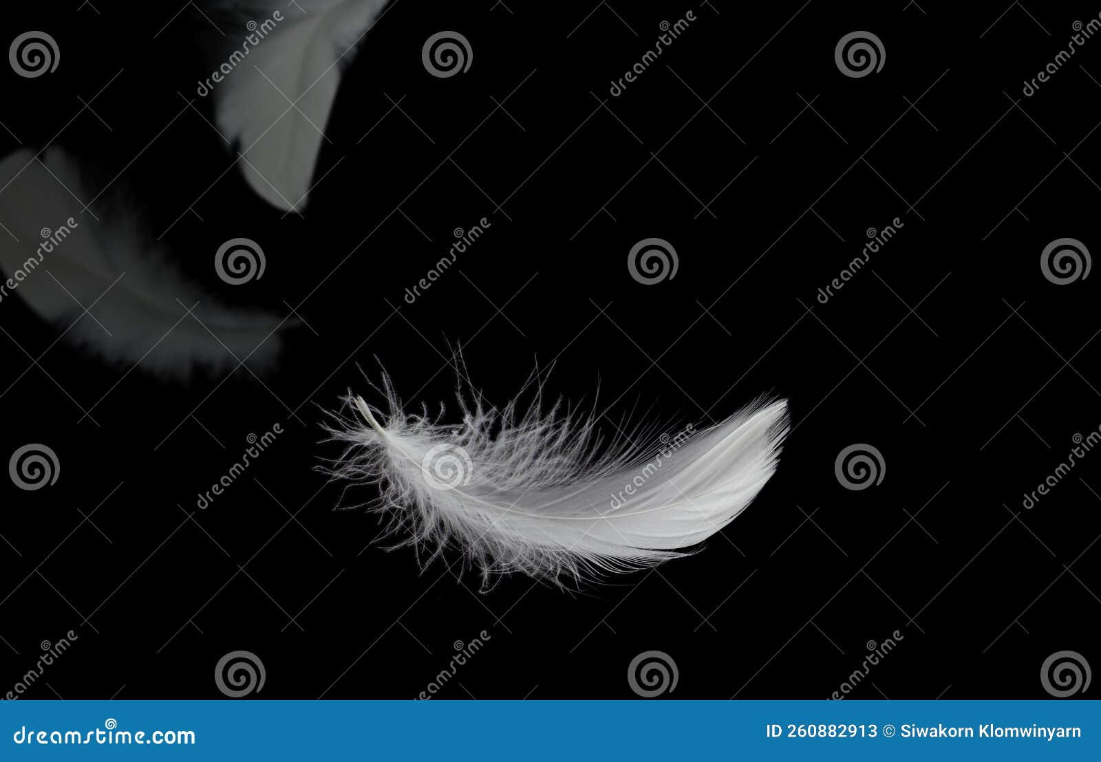 Abstract White Bird Feathers Falling in the Dark. Feathers Floating on ...