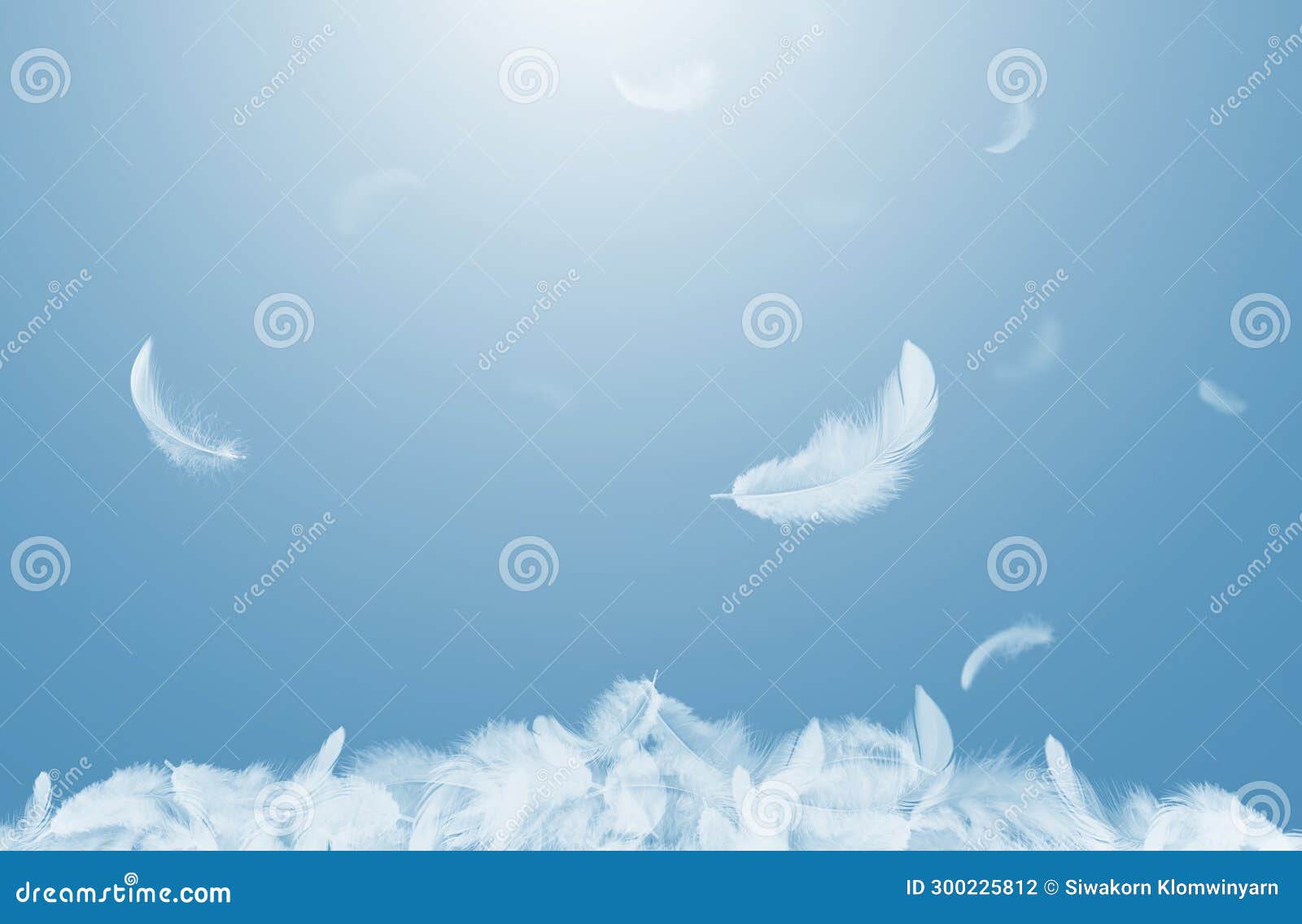 Abstract White Bird Feathers Falling on Floor. Softness of Floating ...