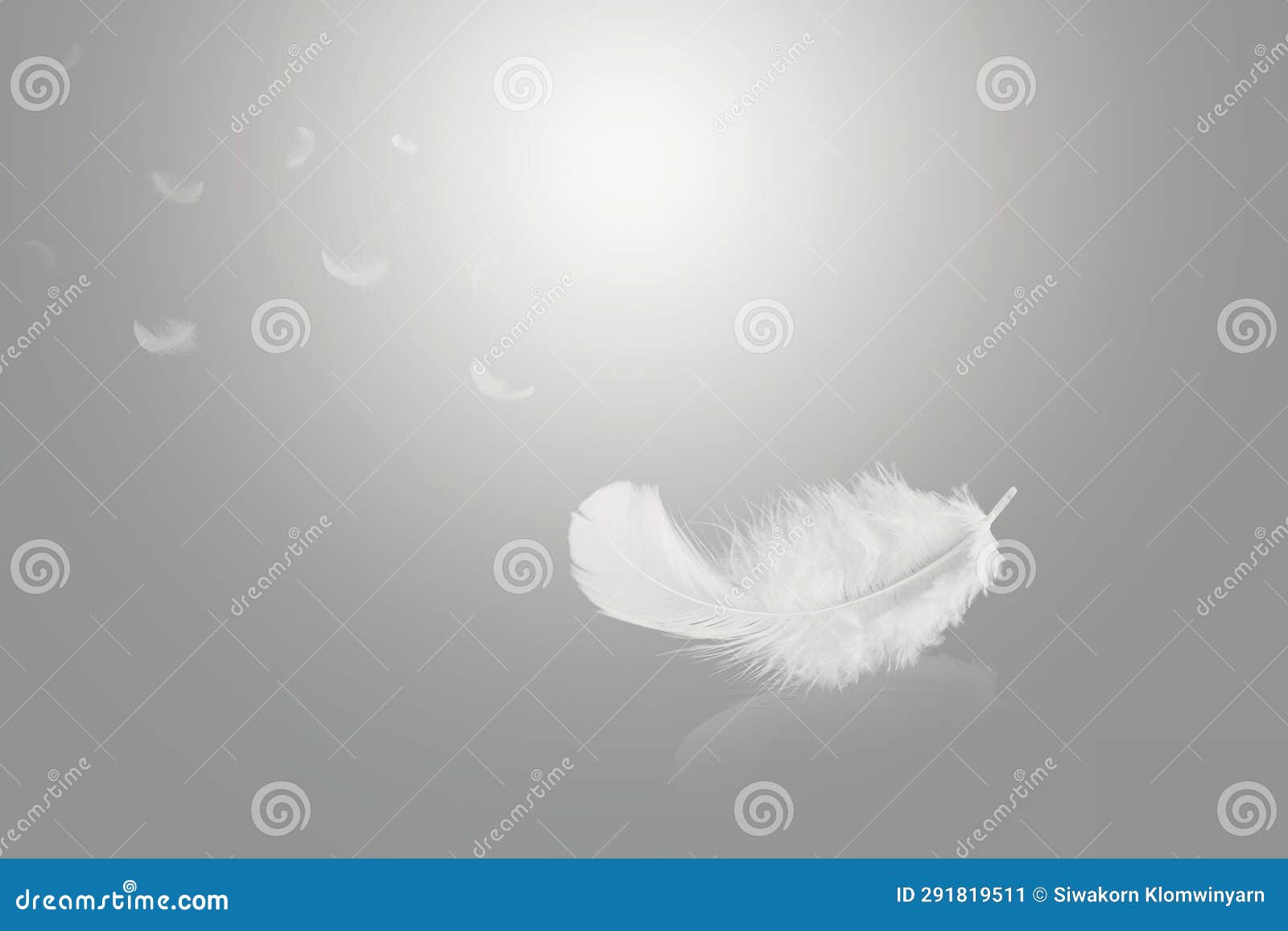 Abstract White Bird Feathers Falling with Reflection. Softness of ...