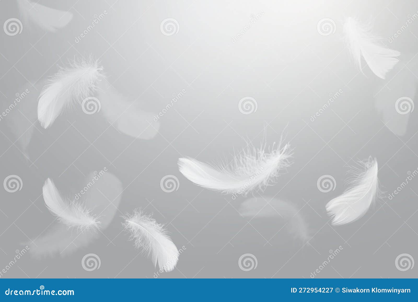 Abstract White Bird Feathers Falling in the Sky. Feathers Floating in ...