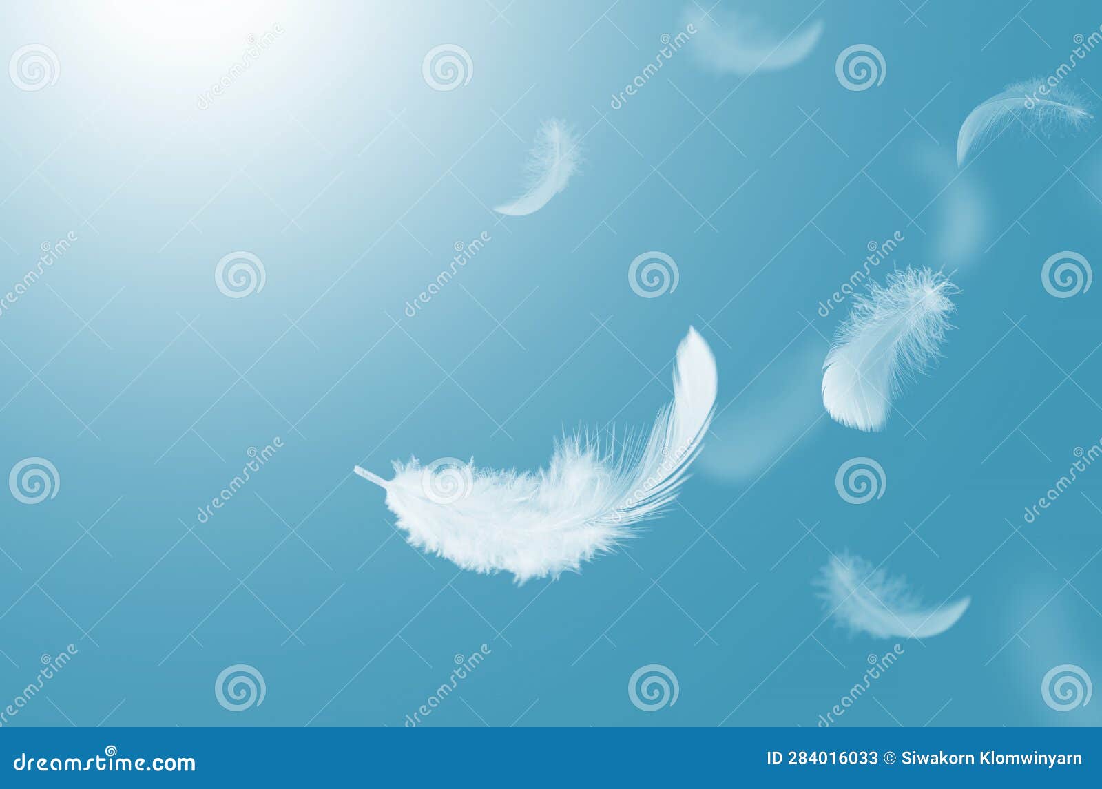 Abstract White Bird Feathers Falling in the Sky. Feathers Floating in ...