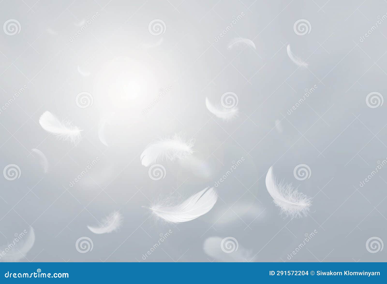 Abstract White Bird Feathers Falling In The Sky. Freedom, Feather ...