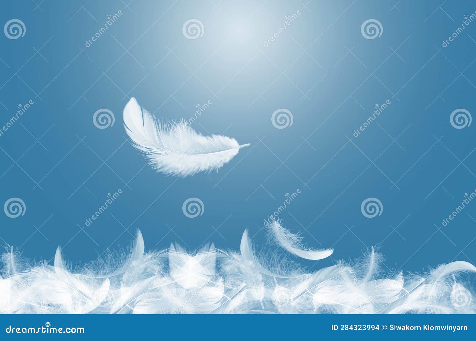 Abstract White Bird Feathers Falling in the Sky. Softness Feathers ...