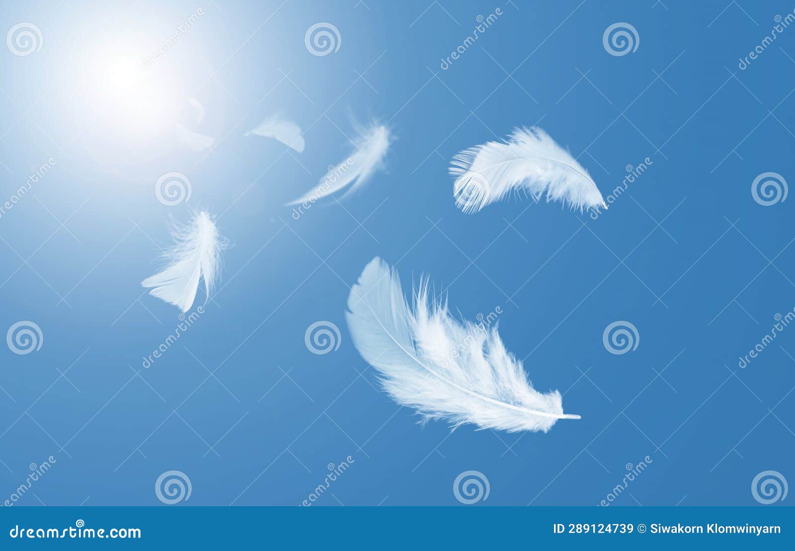 Abstract White Bird Feathers Floating in a Blue Sky. Freedom, Feather ...
