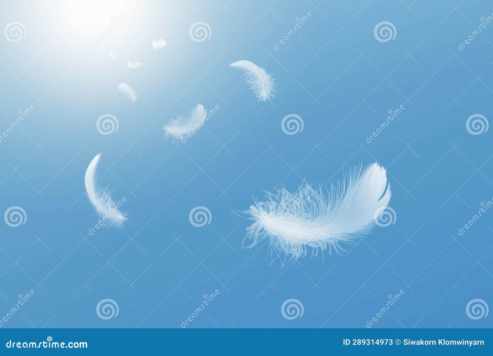 Abstract White Bird Feathers Floating in a Blue Sky. Freedom, Feather ...