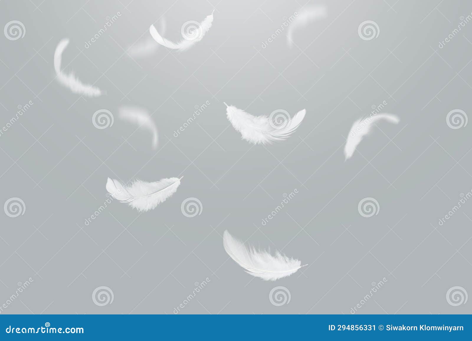 Abstract White Bird Feathers Floating in the Sky. Freedom, Feather ...