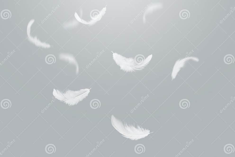 Abstract White Bird Feathers Floating in the Sky. Freedom, Feather ...