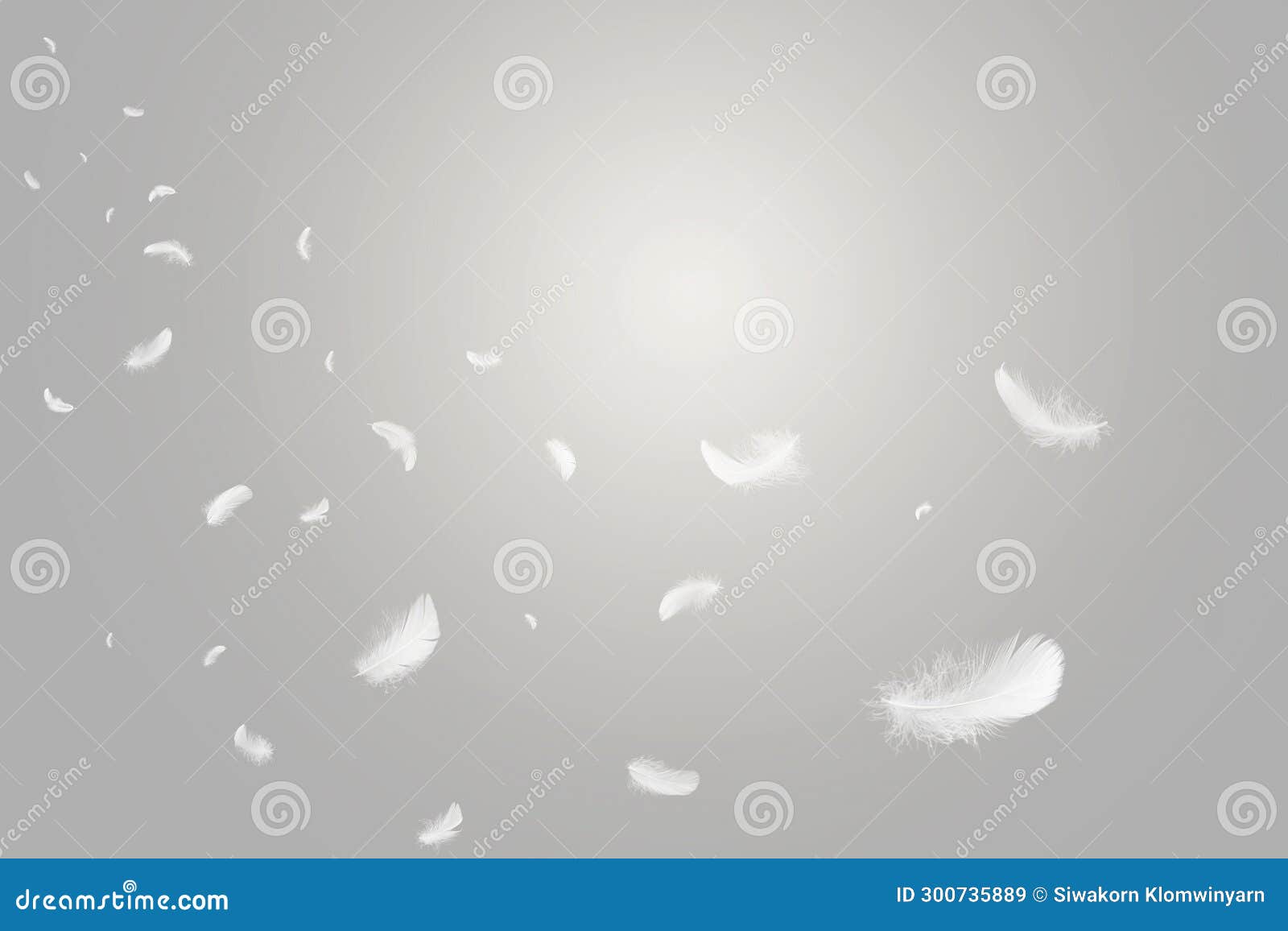 Abstract White Bird Feathers Floating in the Sky. Freedom, Feather ...