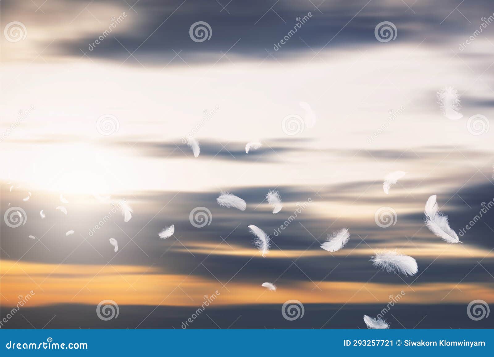 Abstract White Bird Feathers Floating in the Sky and Sunshine. Softness ...