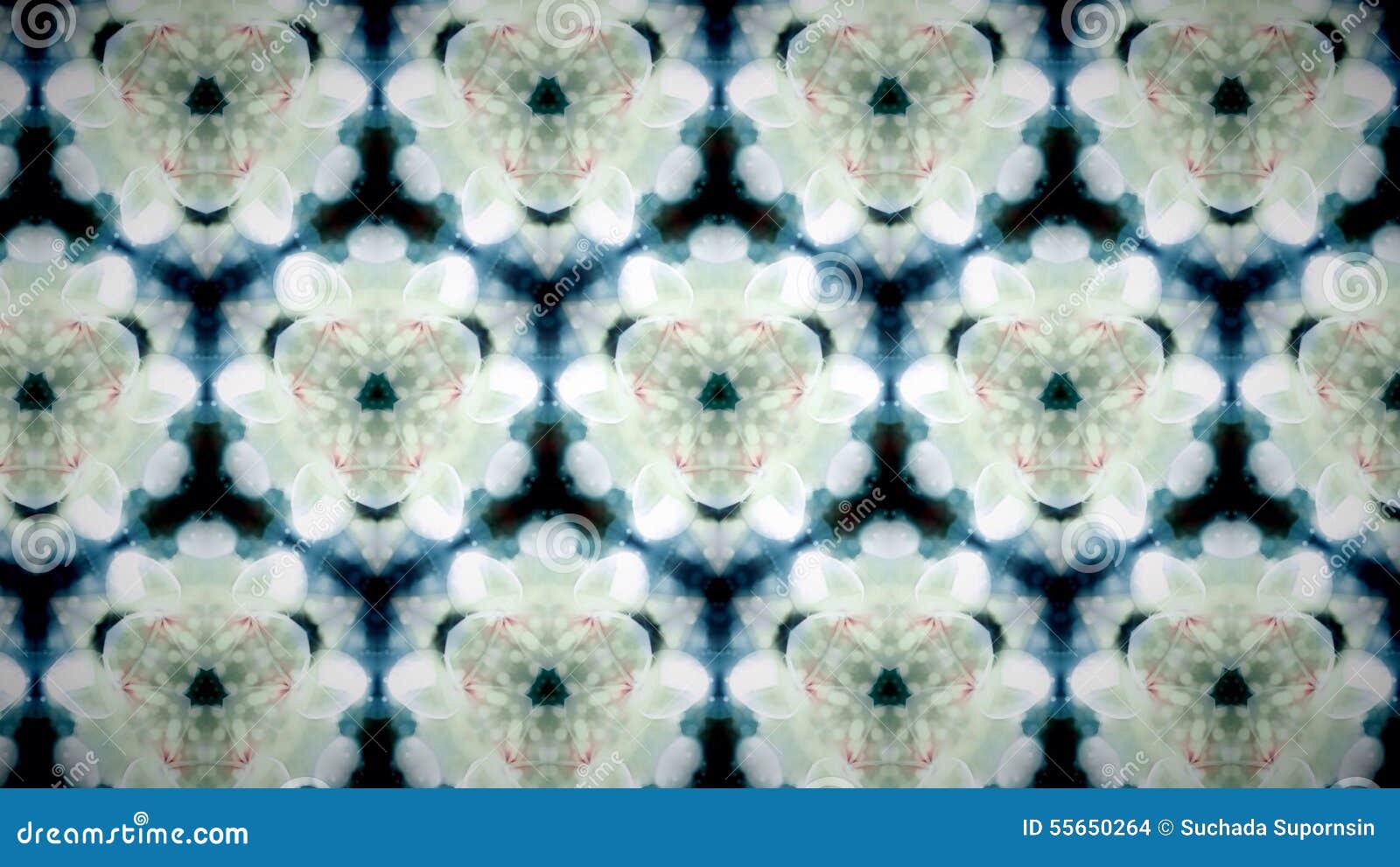 Abstract White Flower Pattern Background Stock Photo - Image of ...