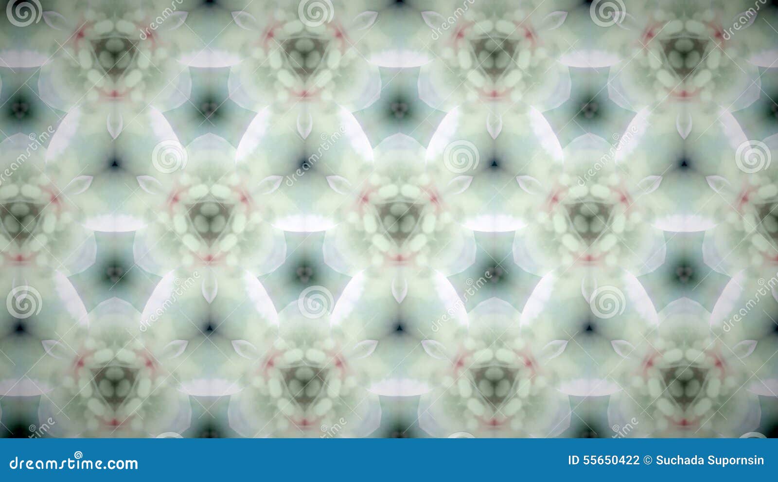 Abstract White Flower Pattern Background Stock Photo - Image of ...