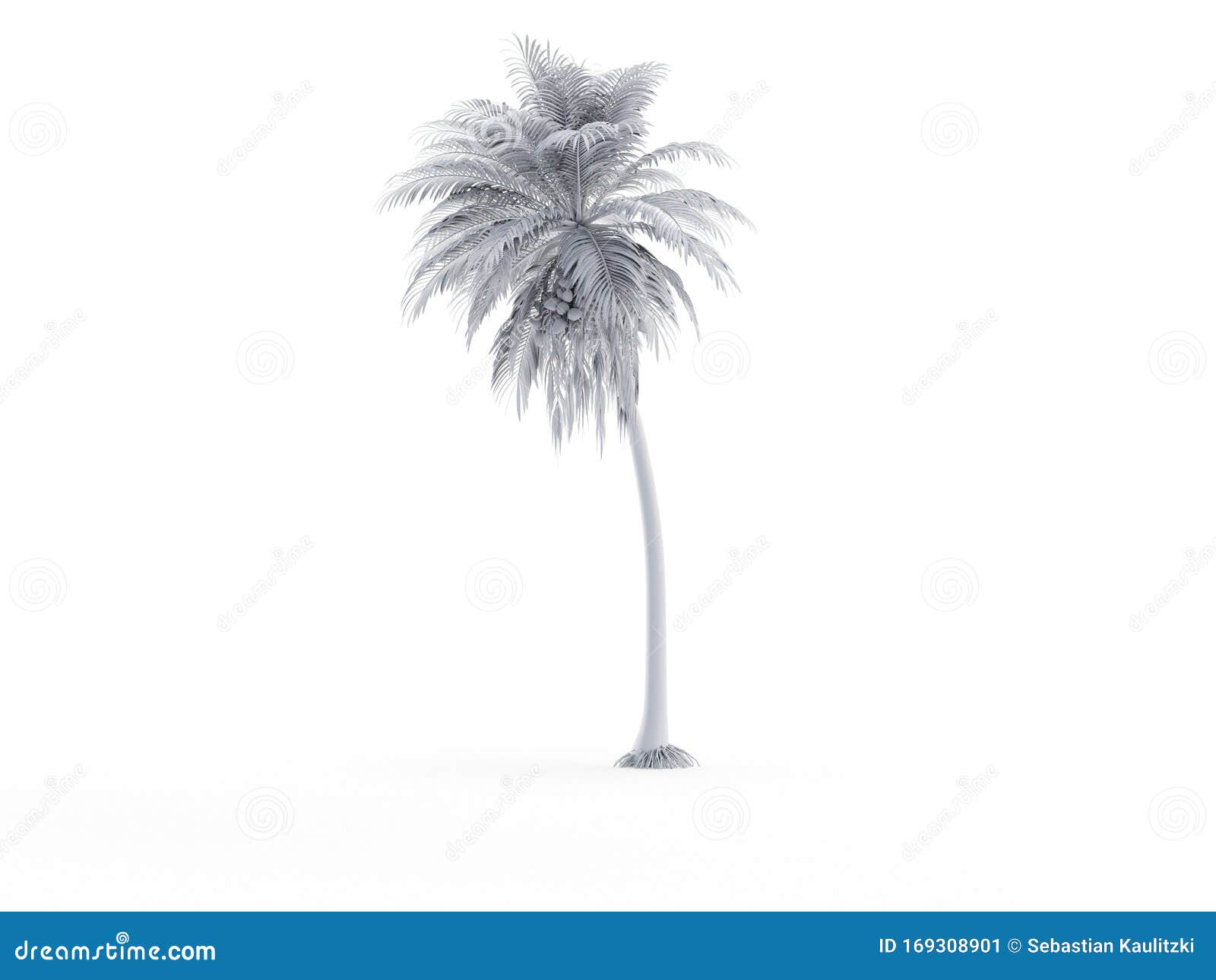 An Abstract White Palm Tree Stock Illustration - Illustration of ...