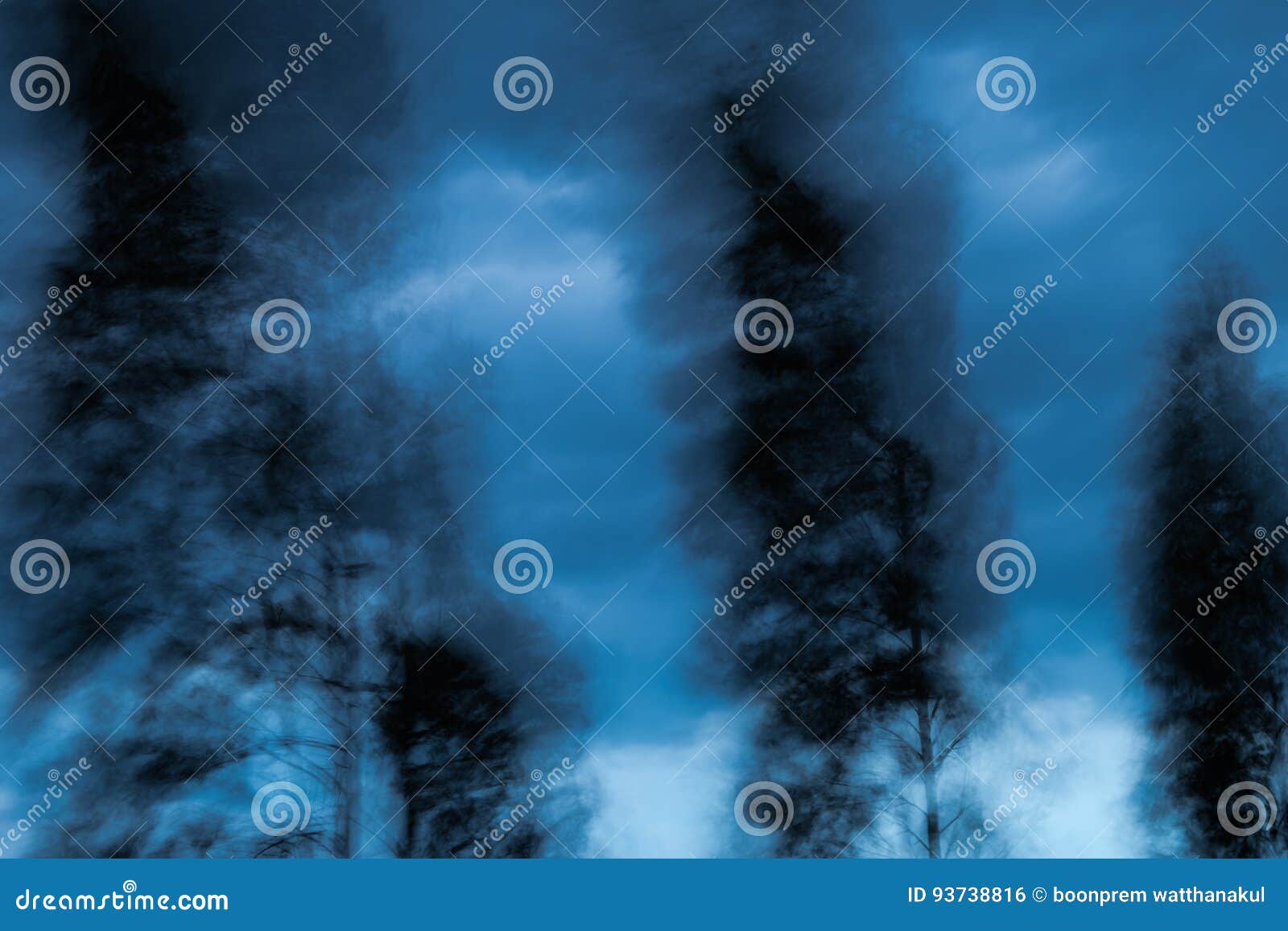 Abstract. the Wind Blows the Trees . Stock Photo - Image of blowing ...
