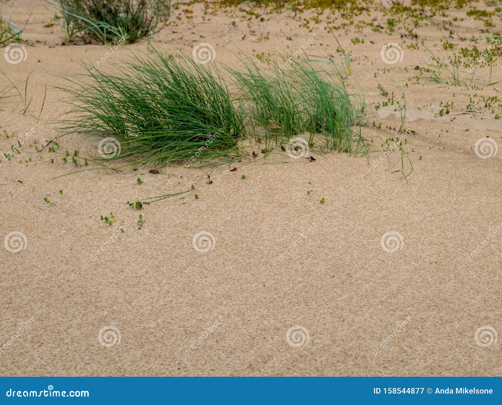 Abstract Wind and Sand Formations on the Beach Stock Image - Image of ...