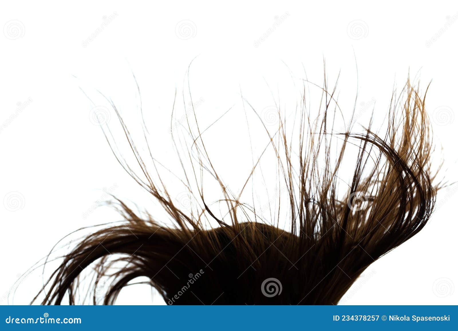 Abstract Windy Hair Texture. Backlit Silhouette on White Background ...