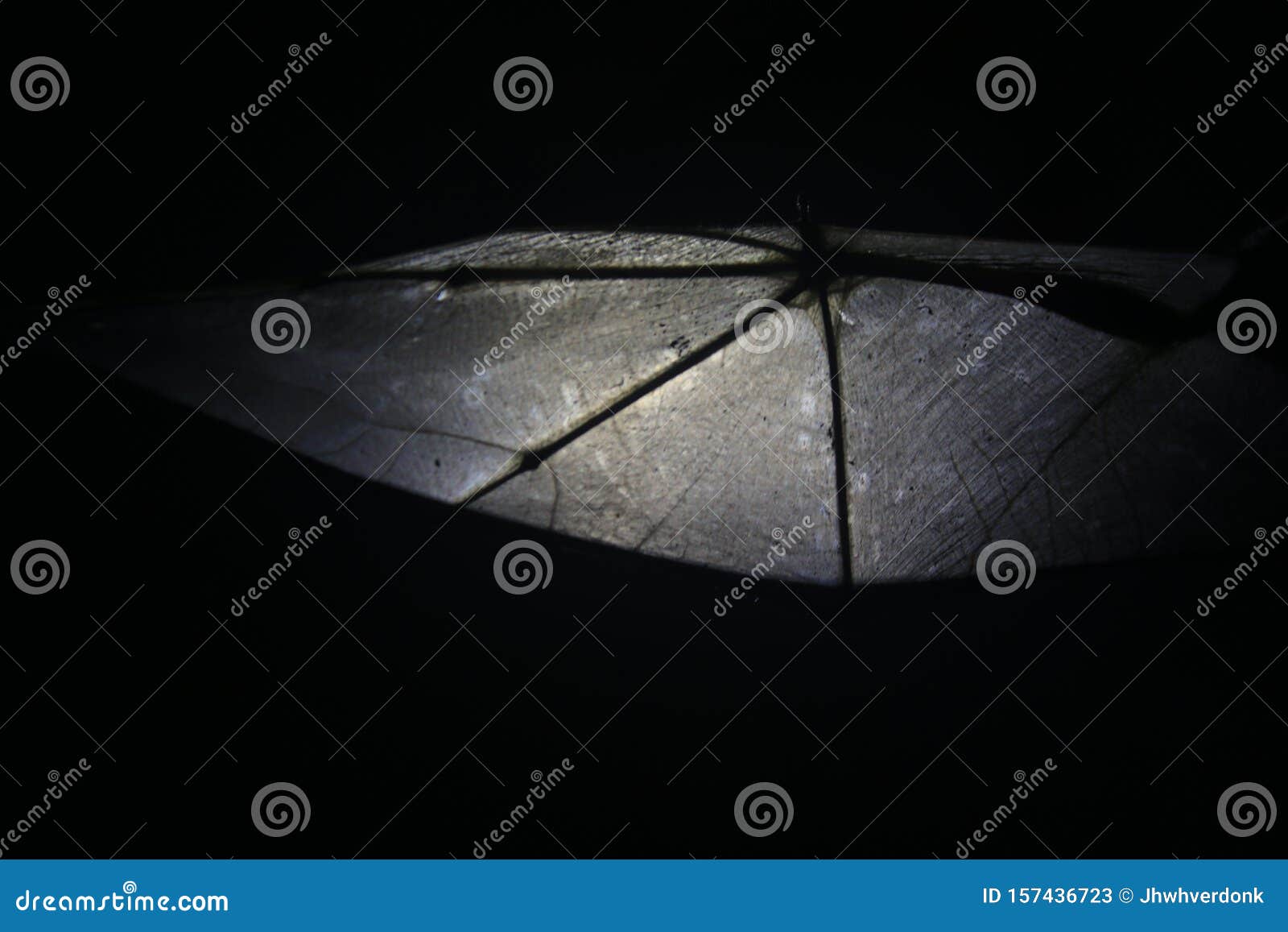 An Abstract of the Wing from a Bat Showing the Veings, Bones and ...