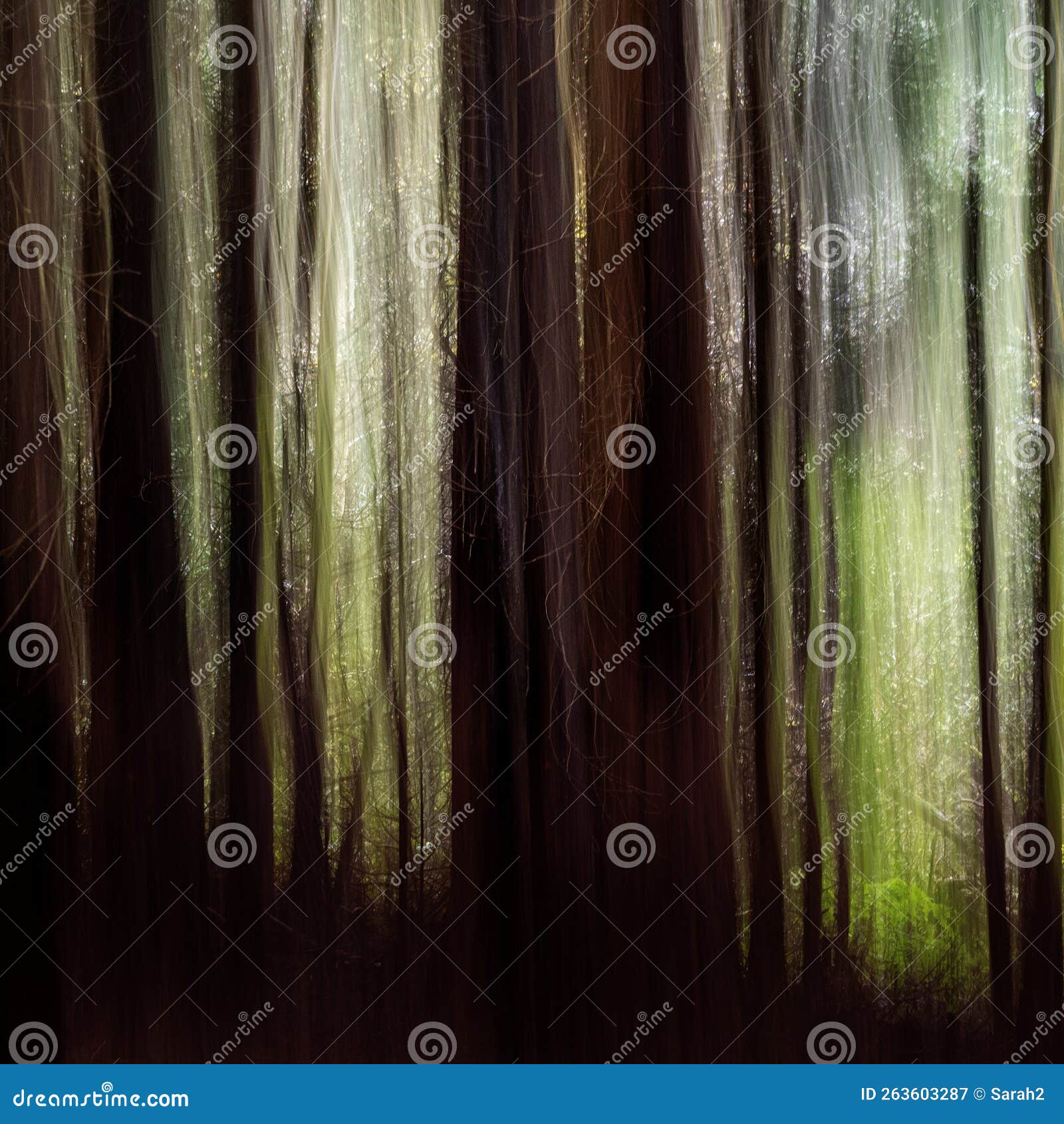 Abstract Winter Forest, Woods Scene. Abstract Background. Stock Image ...