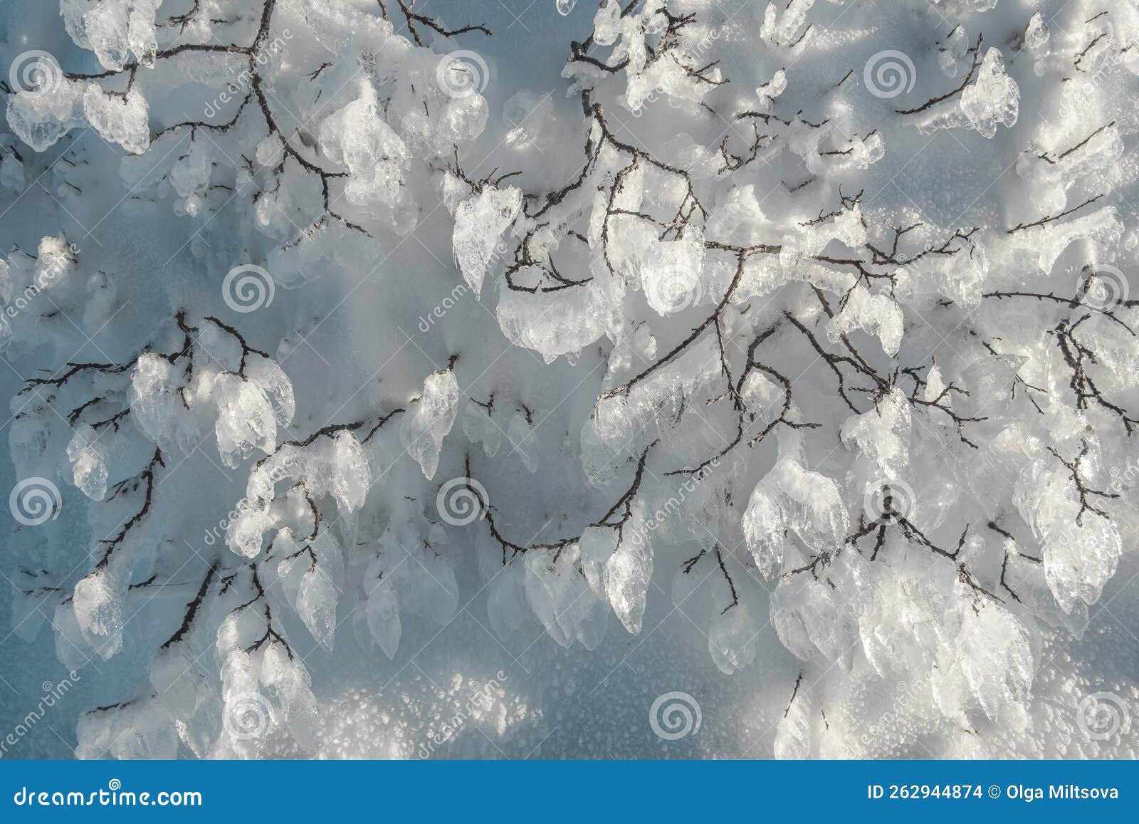 Abstract Winter Iced Plants Snow Background Stock Photo - Image of ...