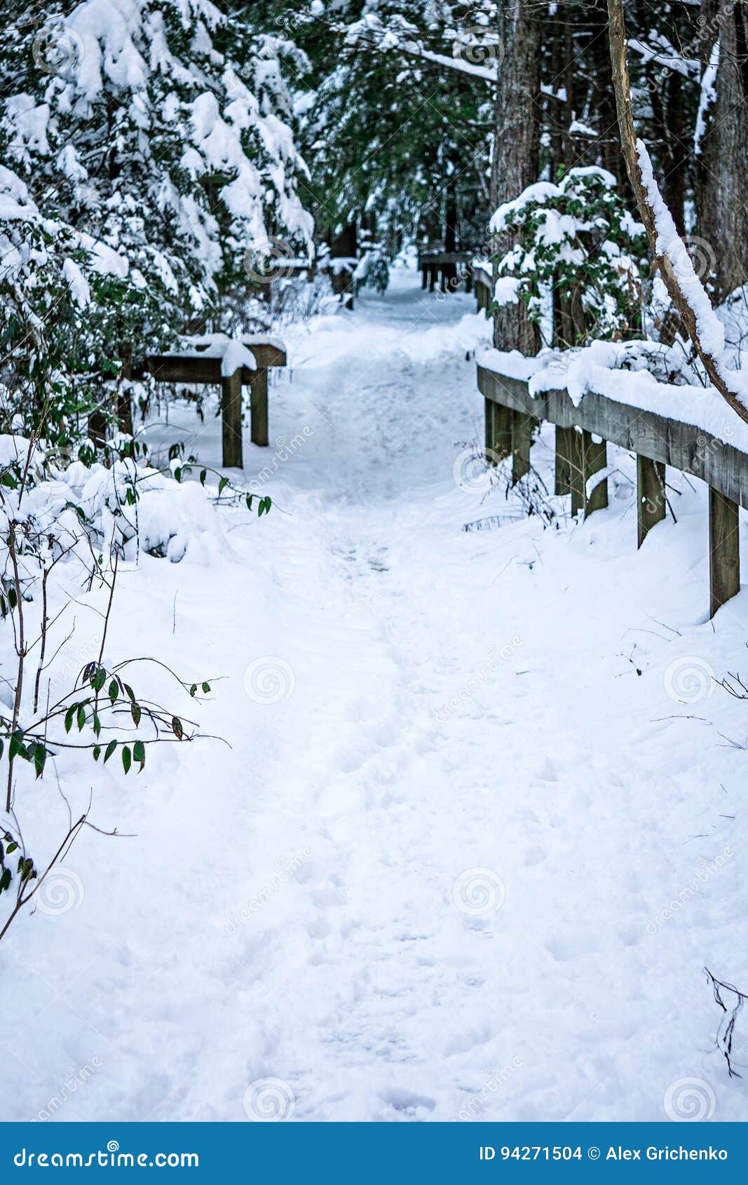 Abstract Winter Scene on a Country Farm Stock Photo - Image of forest ...