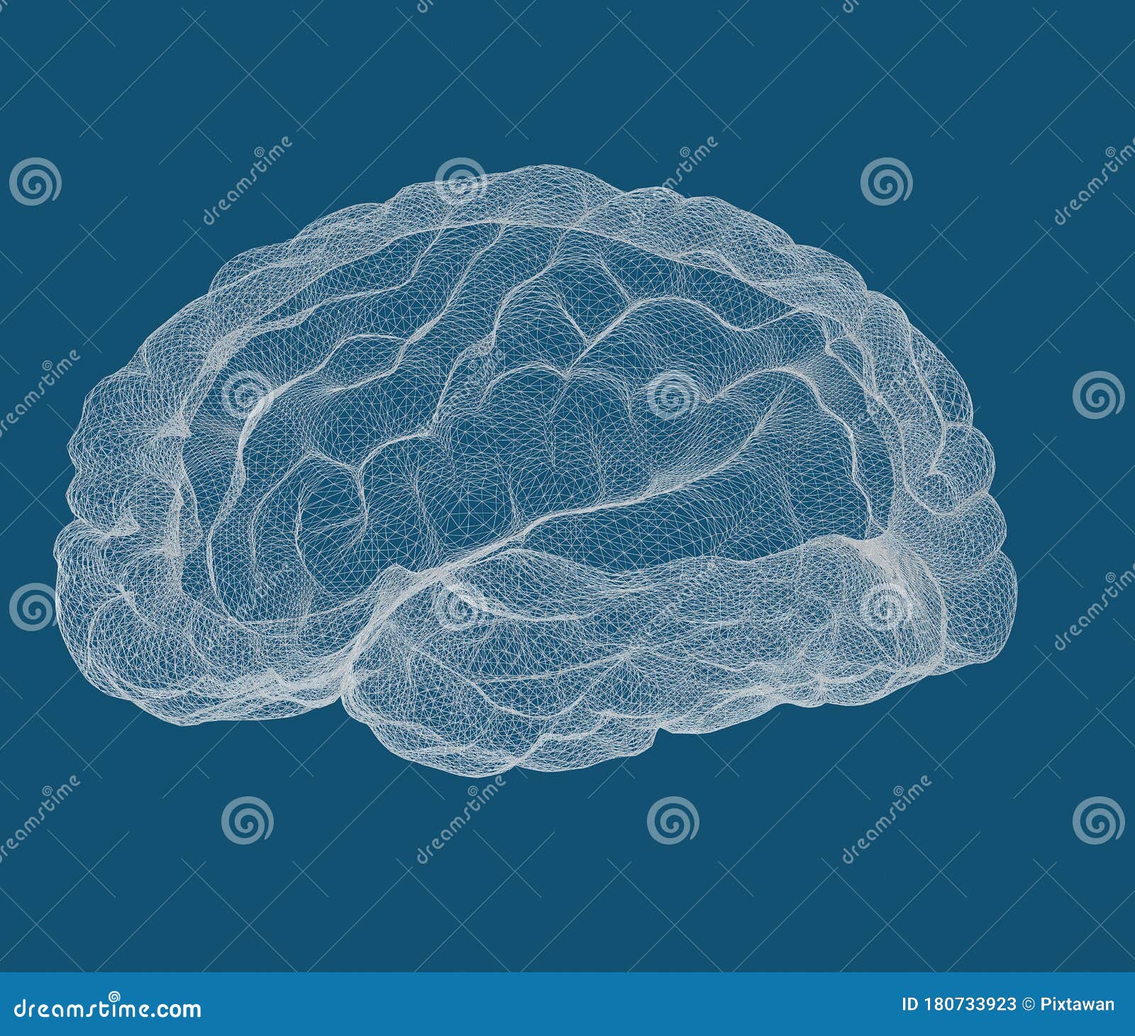 Abstract Wireframe Brain of Human Stock Illustration - Illustration of ...