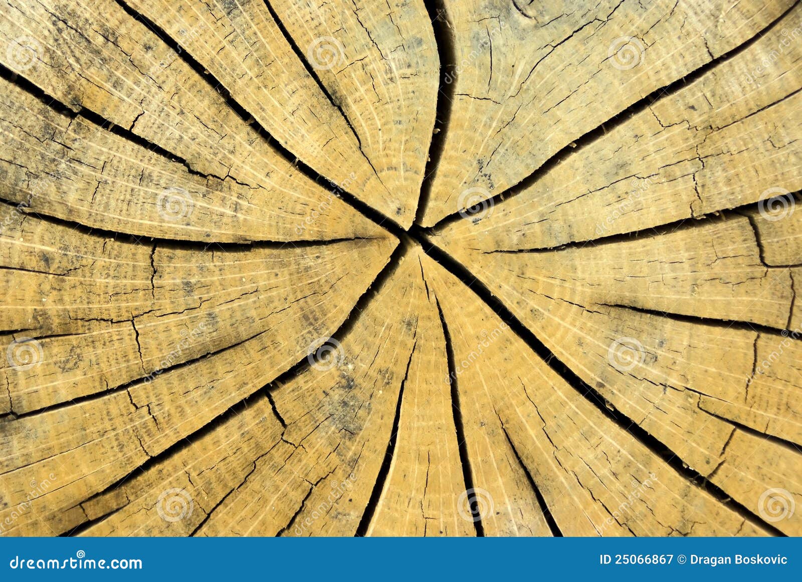 Abstract wood background stock image. Image of plank - 25066867
