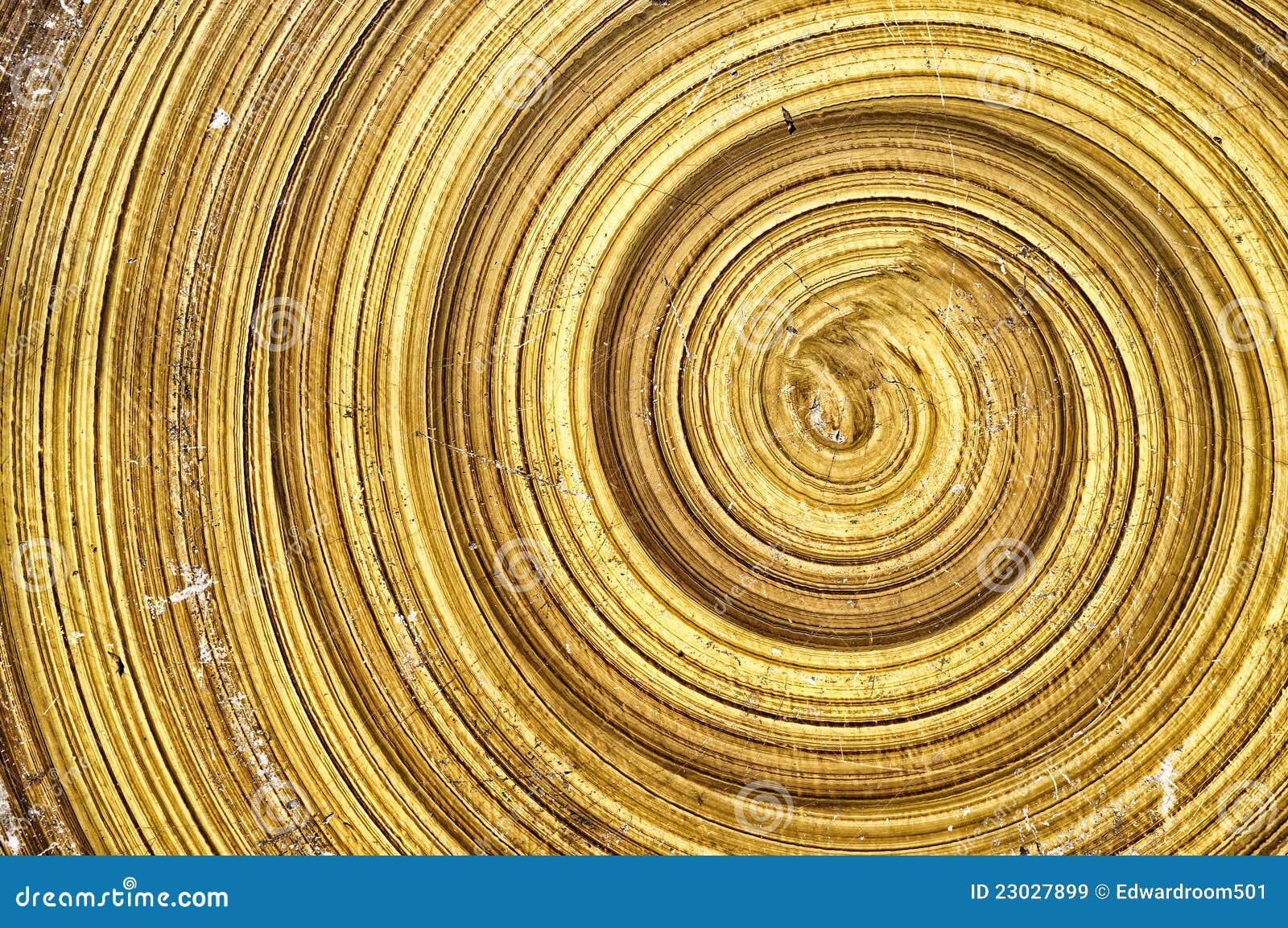Abstract wood spiral stock image. Image of growth, crop - 23027899