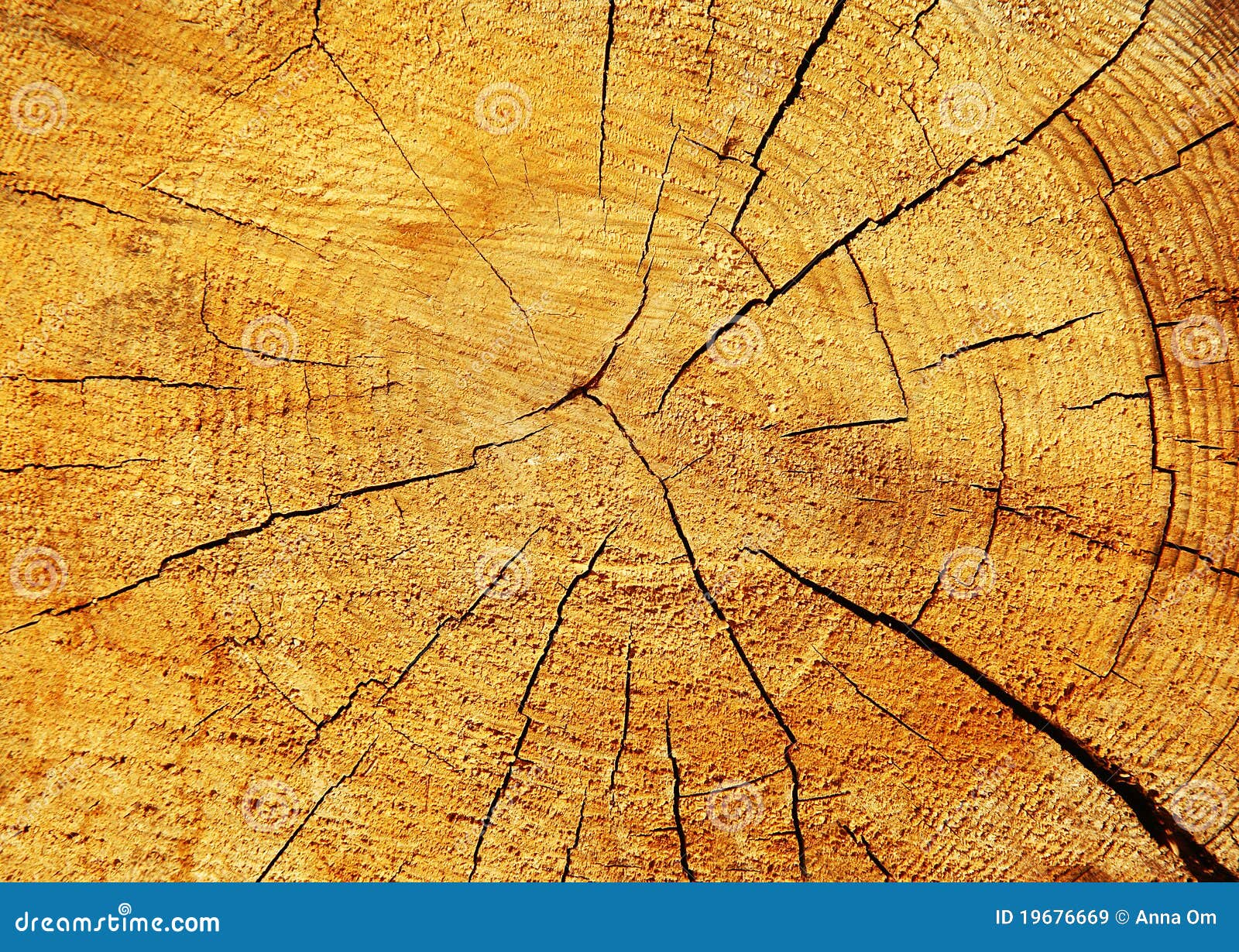 Abstract wooden background stock image. Image of abstract - 19676669