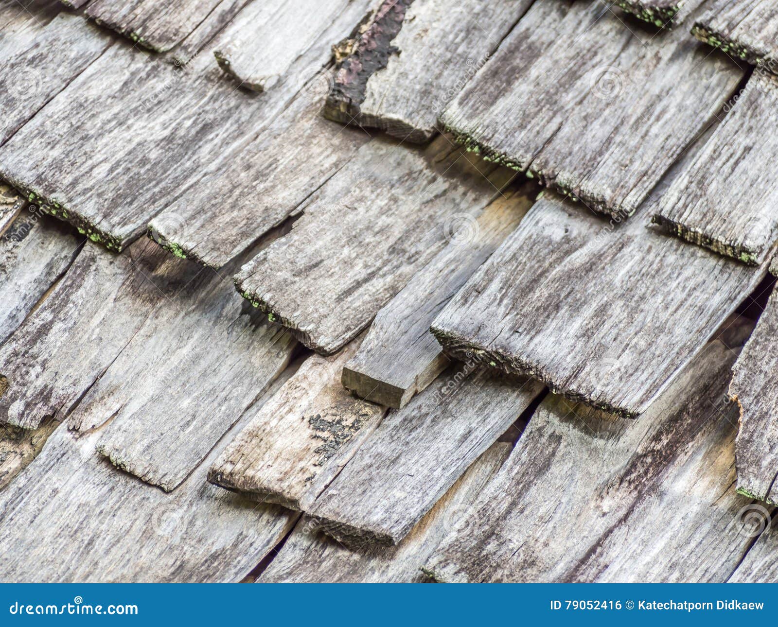 Abstract Wooden Grids Roof Pattern Stock Photo - Image of building ...