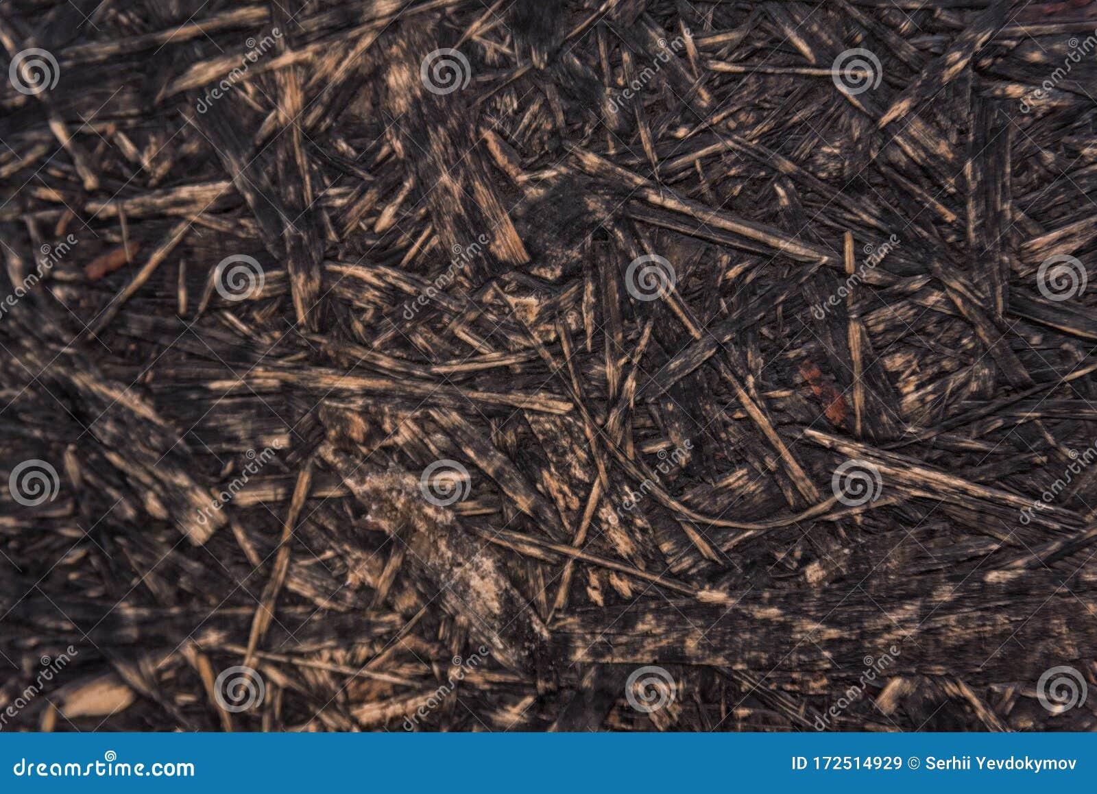 Abstract Wooden Texture. Chipboard Material Stock Image - Image of ...