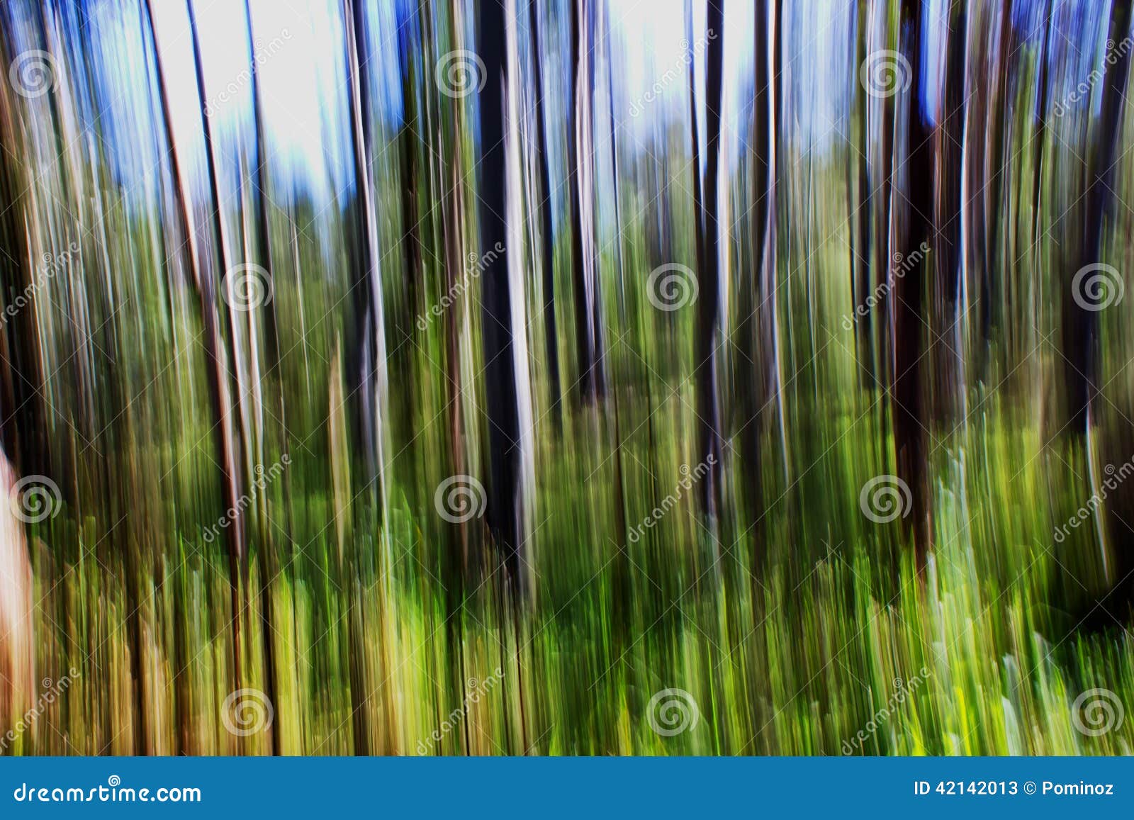 Abstract of woodland stock image. Image of australia - 42142013