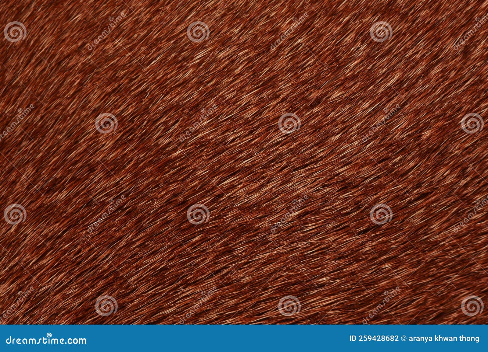 Abstract Wool Textures & Patterns Reddish Brown for Background Stock ...