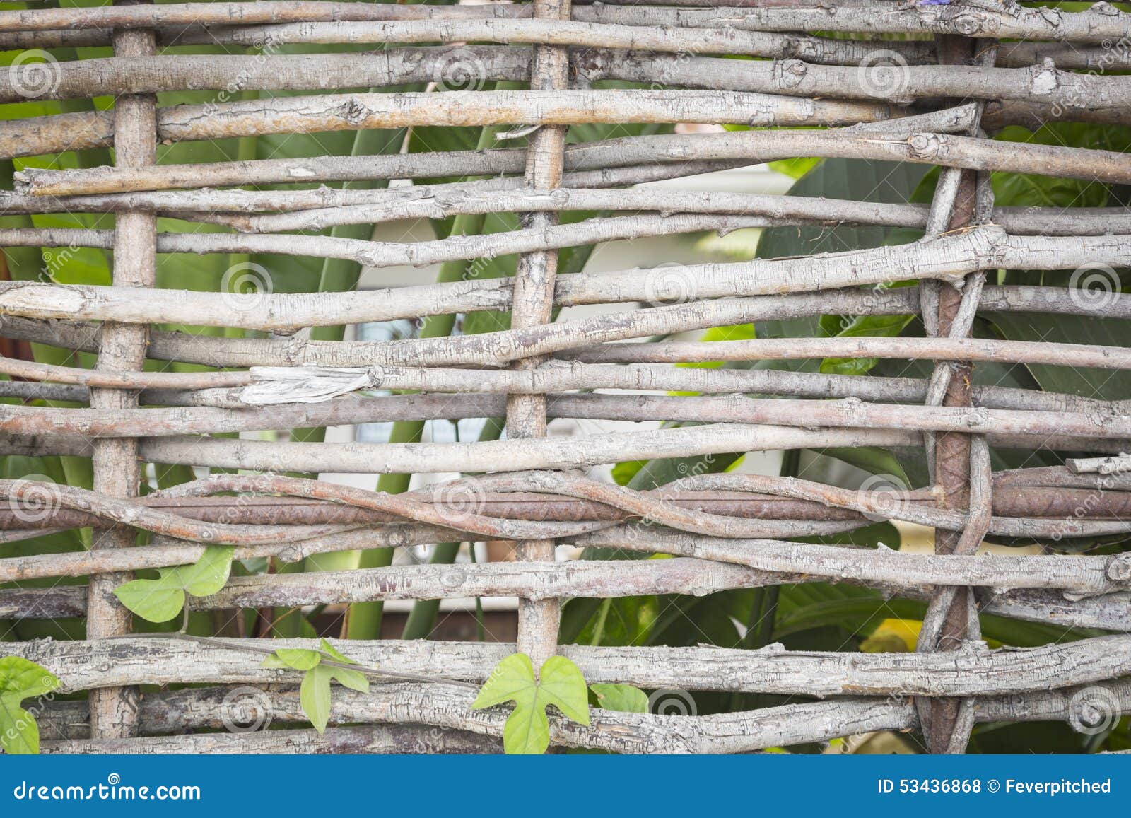 Abstract of Woven Branch Decorative Thatch Work Fence Stock Photo ...