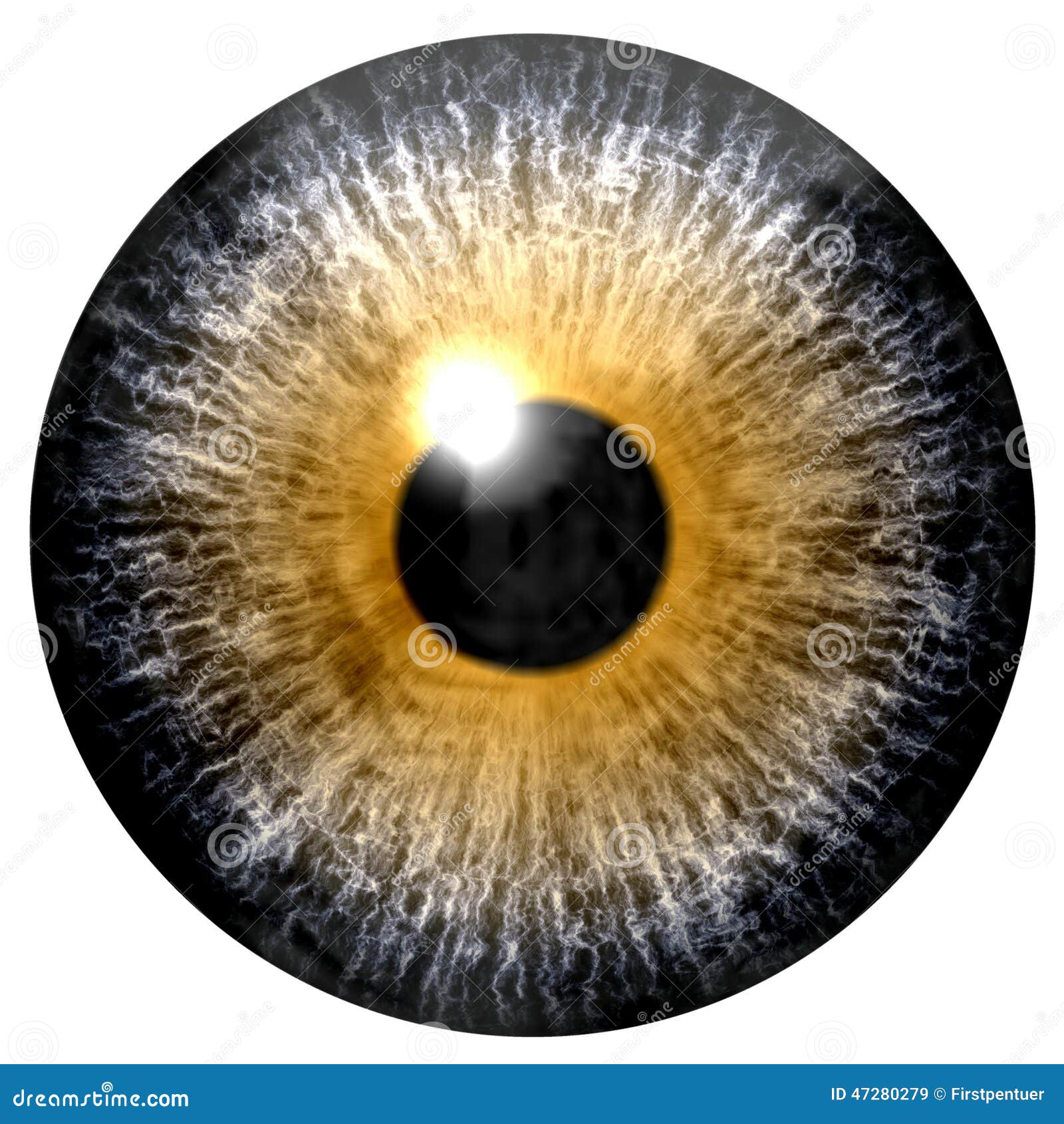 Abstract Yellow Eye Isolated on White Stock Illustration - Illustration ...