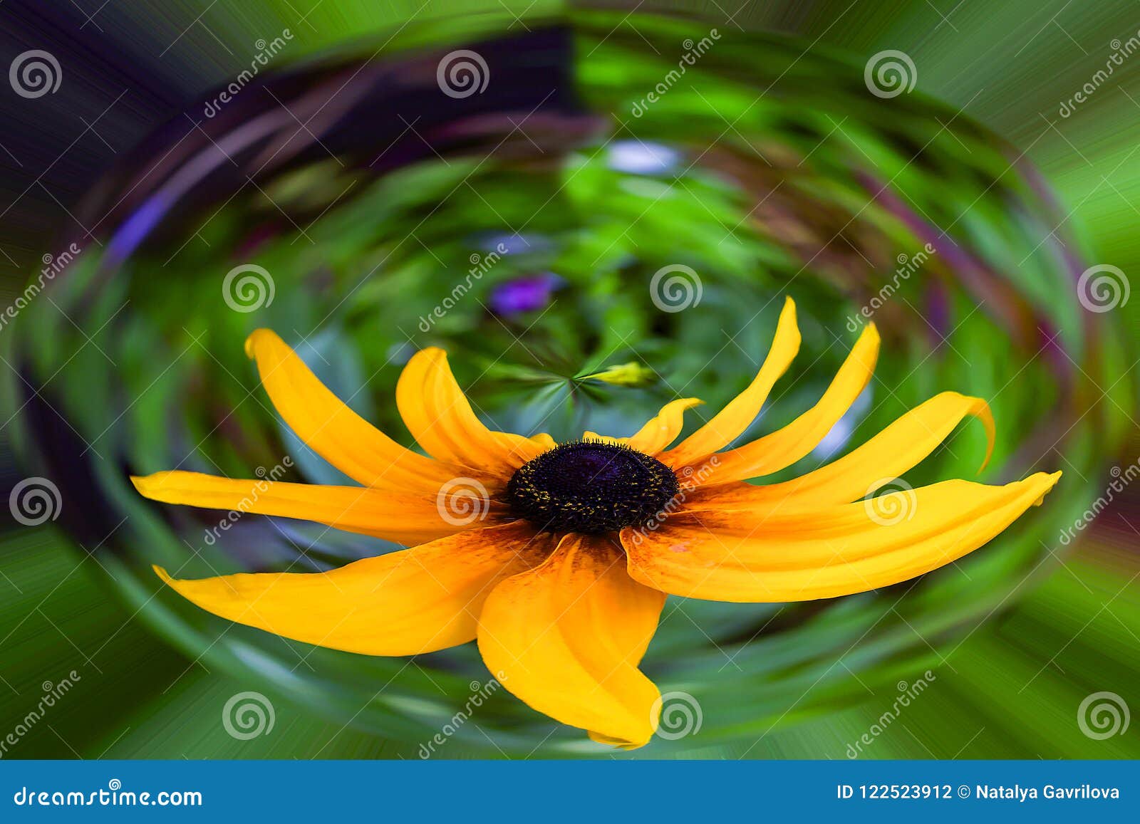 Abstract, Yellow Flower in Capsule on Green Background Stock Photo ...