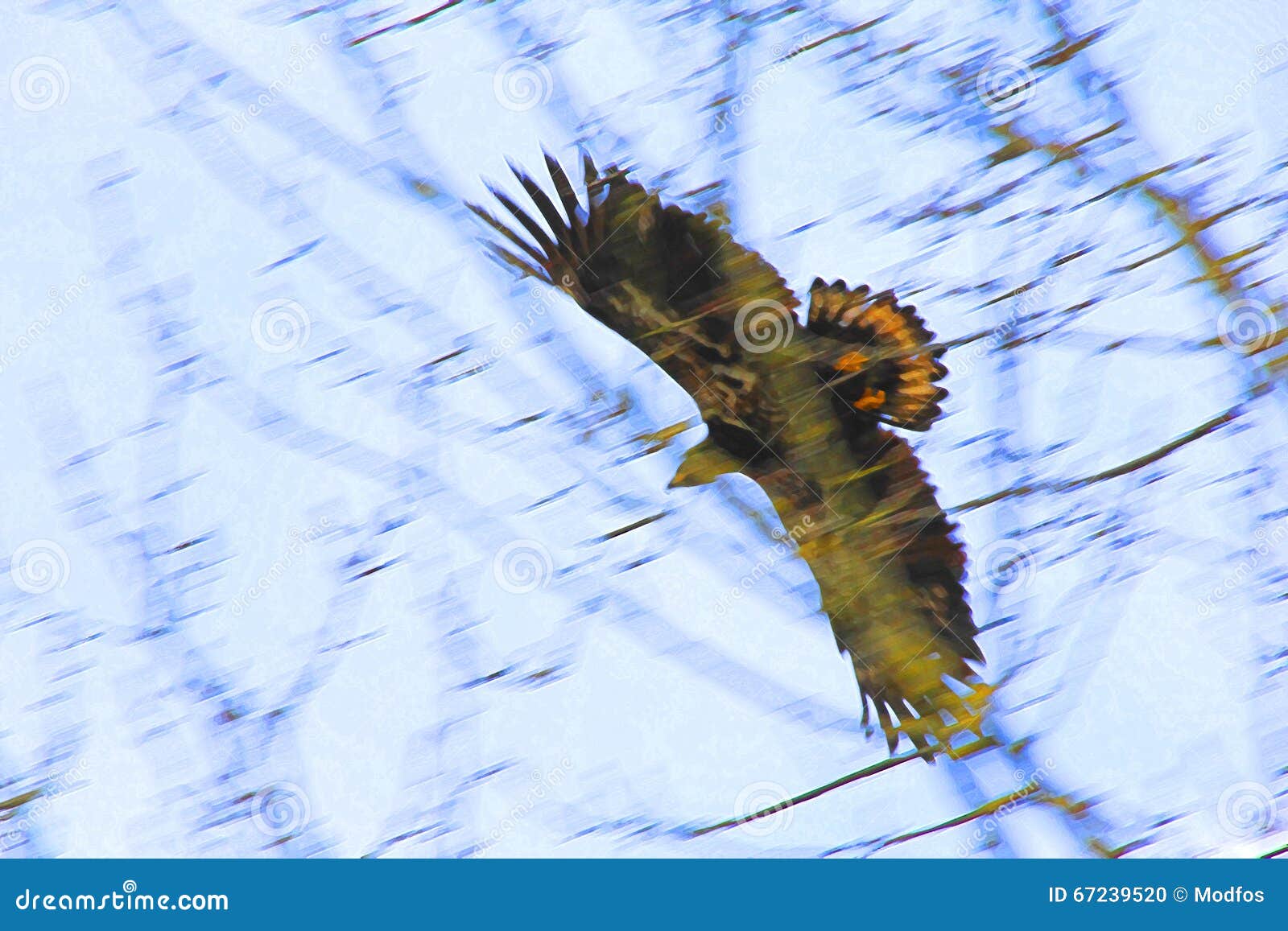 Abstract Young Eagle in Flight Stock Photo - Image of illustrative ...