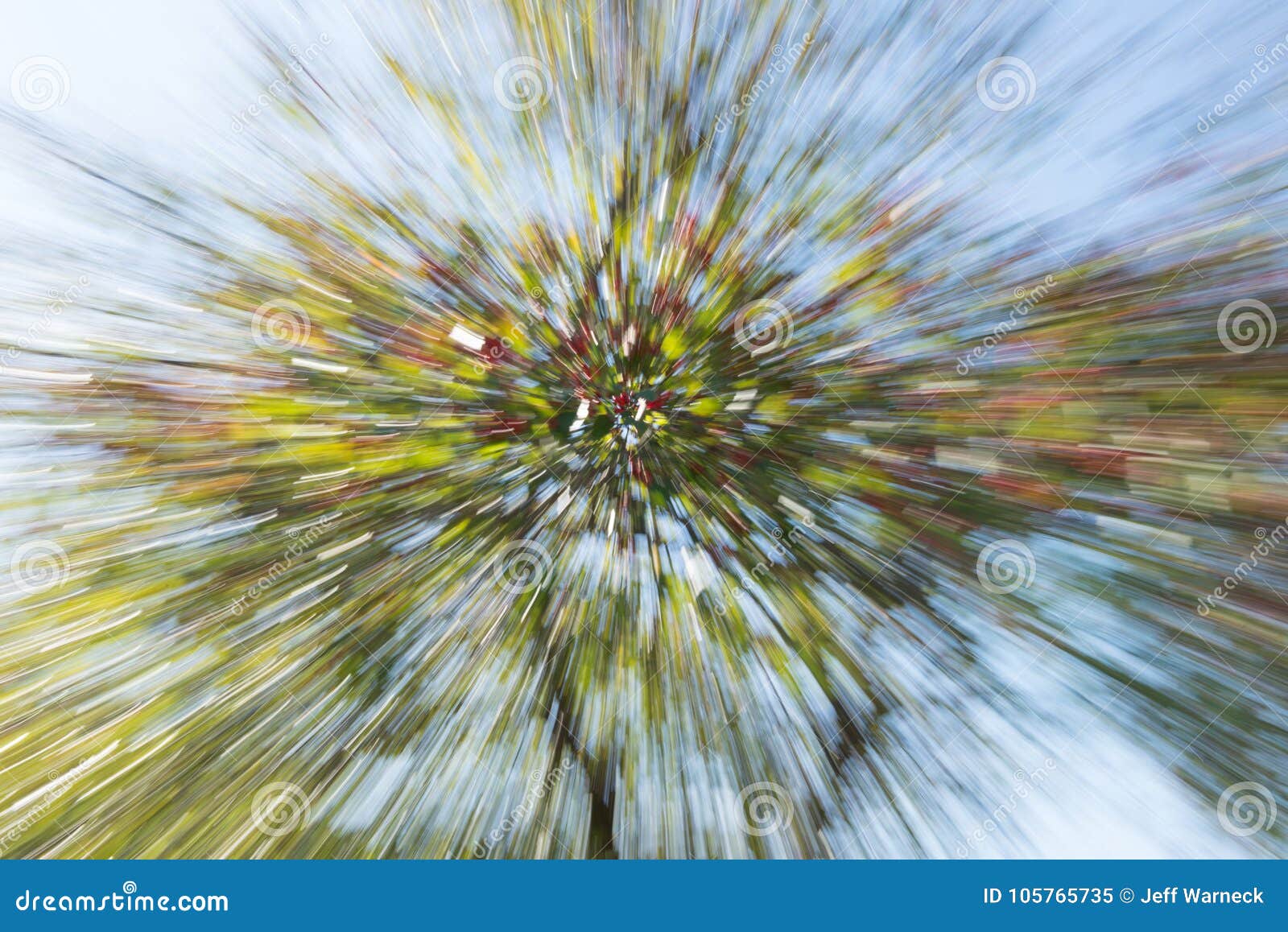 Abstract Zoom of Tree with Flowers. Stock Image - Image of blurry ...