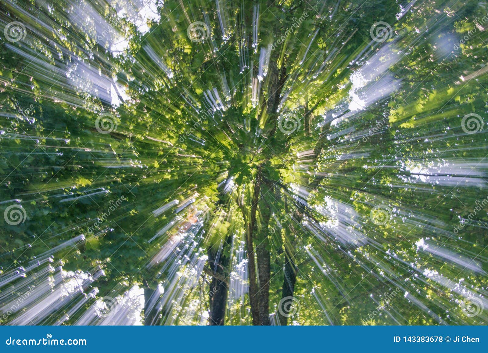 Abstract Zooming Effect of Plant Stock Photo - Image of motion, garden ...