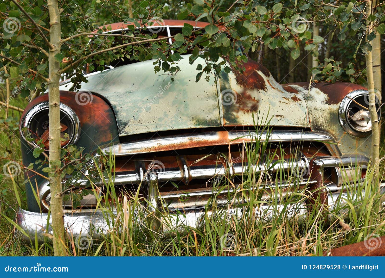 Old Rusted Car Wreckage stock photo. Image of automobile - 124829528