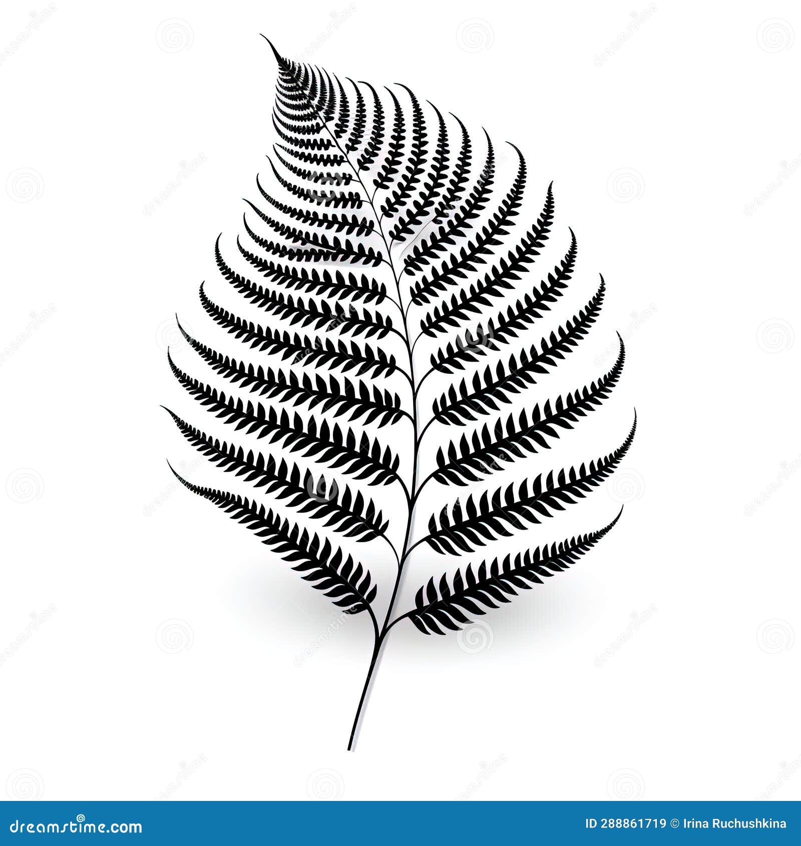 Abstraction Fern, Black and White on White Background Stock ...