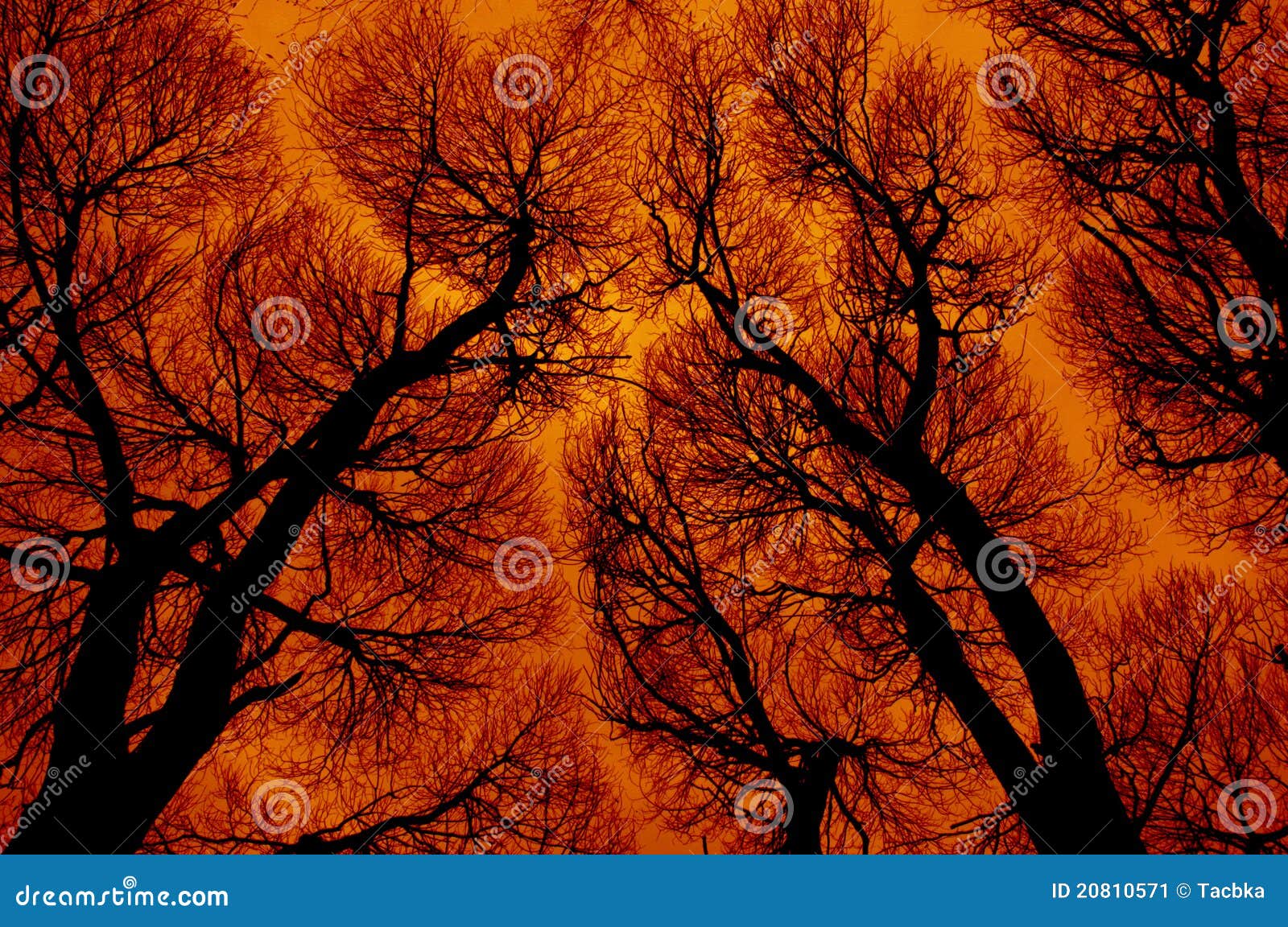 Abstraction in Fiery Colors Stock Image - Image of warning, abstract ...