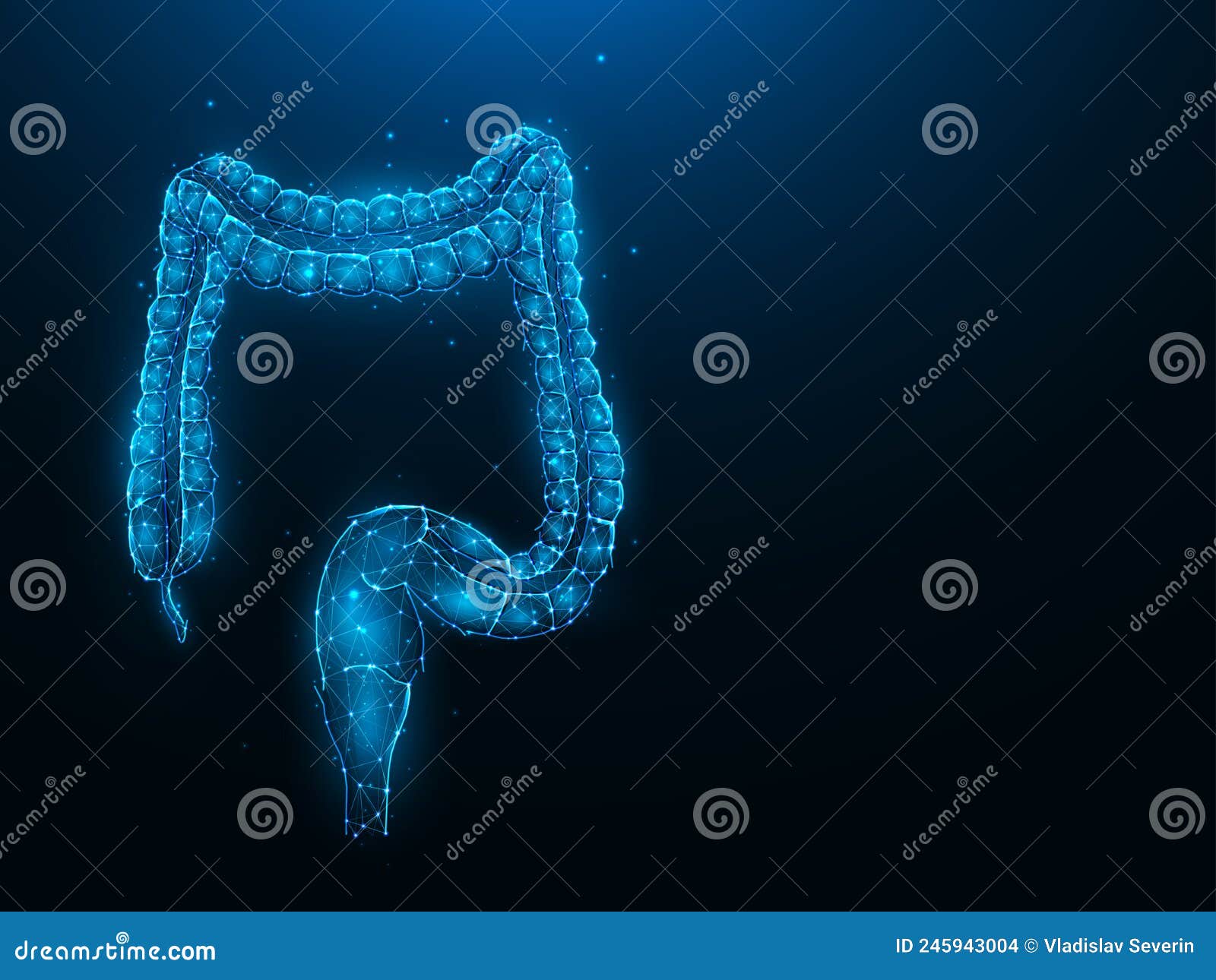 Abstraction Polygonal Illustration Of The Colon Or Large Intestine On A ...