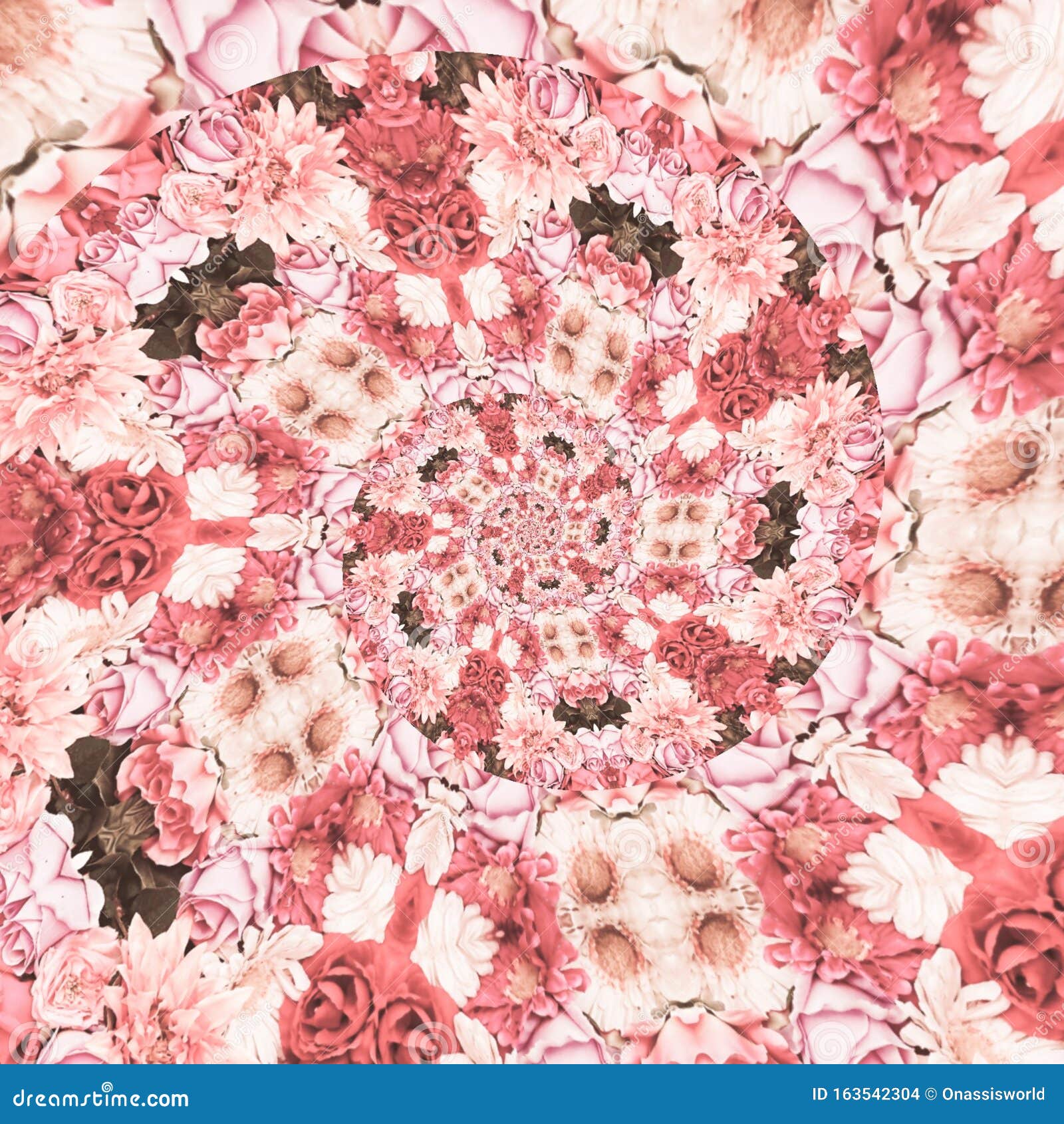 Abstracts Pink White Roses Art Stock Photo - Image of abstracts, roses ...