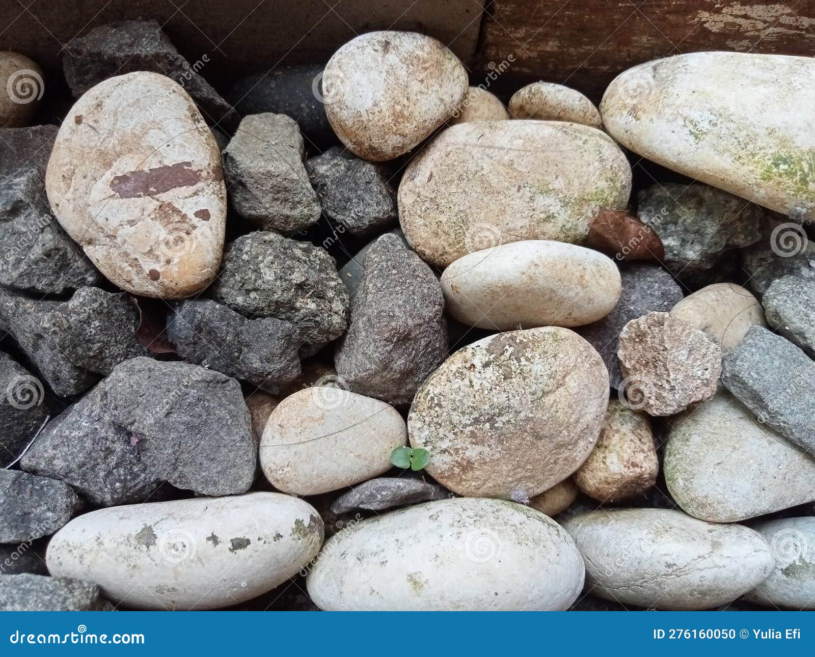 Abstrak Multi Shape Stones for Foot Steps Stock Photo - Image of ...