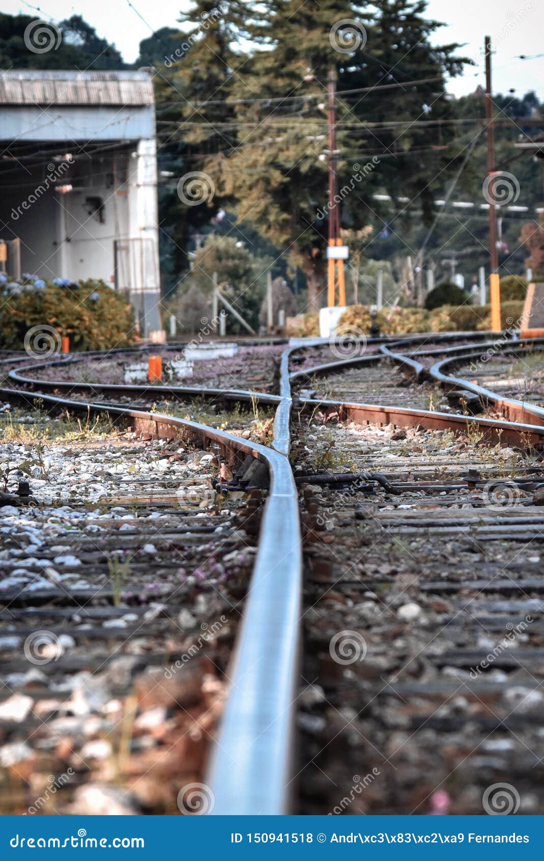 Train Tracks, Sightseeing City Brazil Sao Paulo. Stock Photo - Image of ...