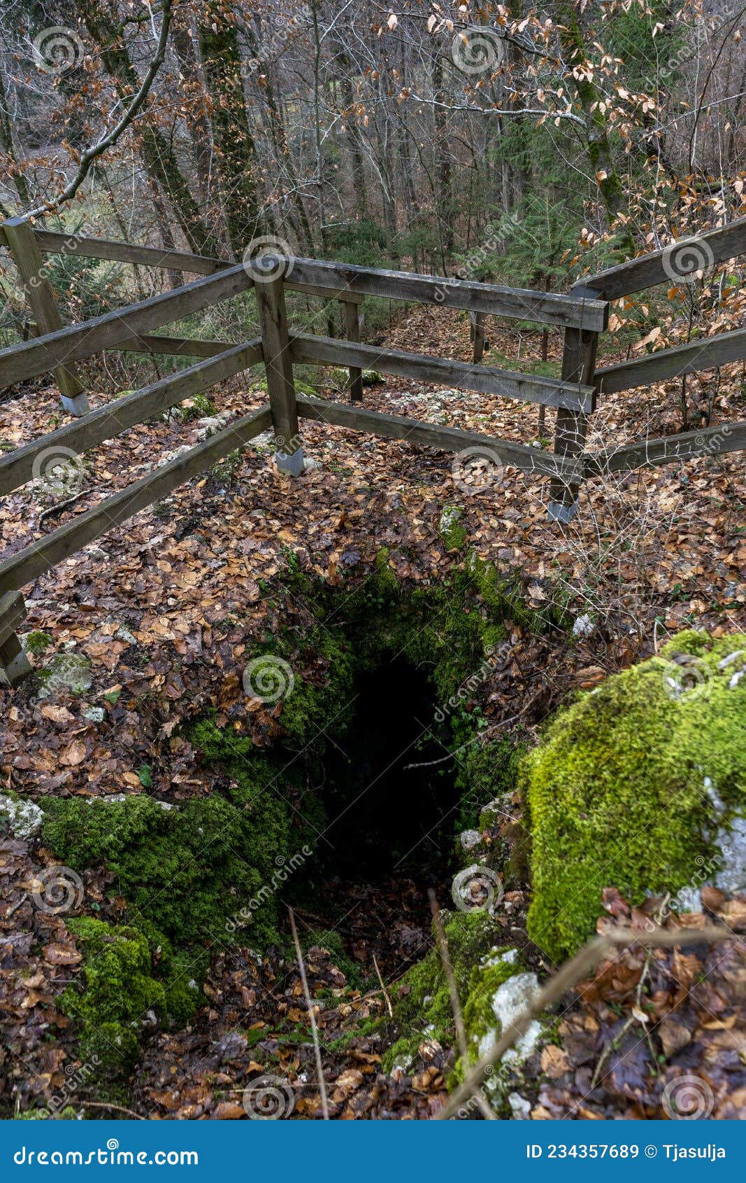 Abyss in the forest stock image. Image of stone, speleology - 234357689