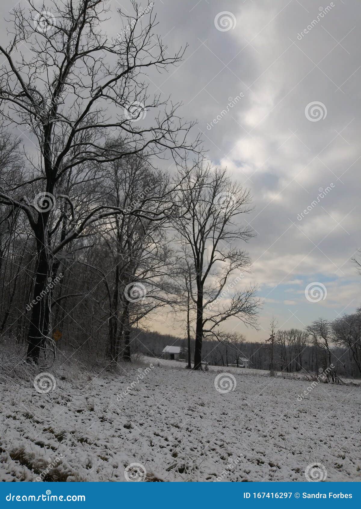 Abyss stock image. Image of abyss, snow, landscape, tree - 167416297
