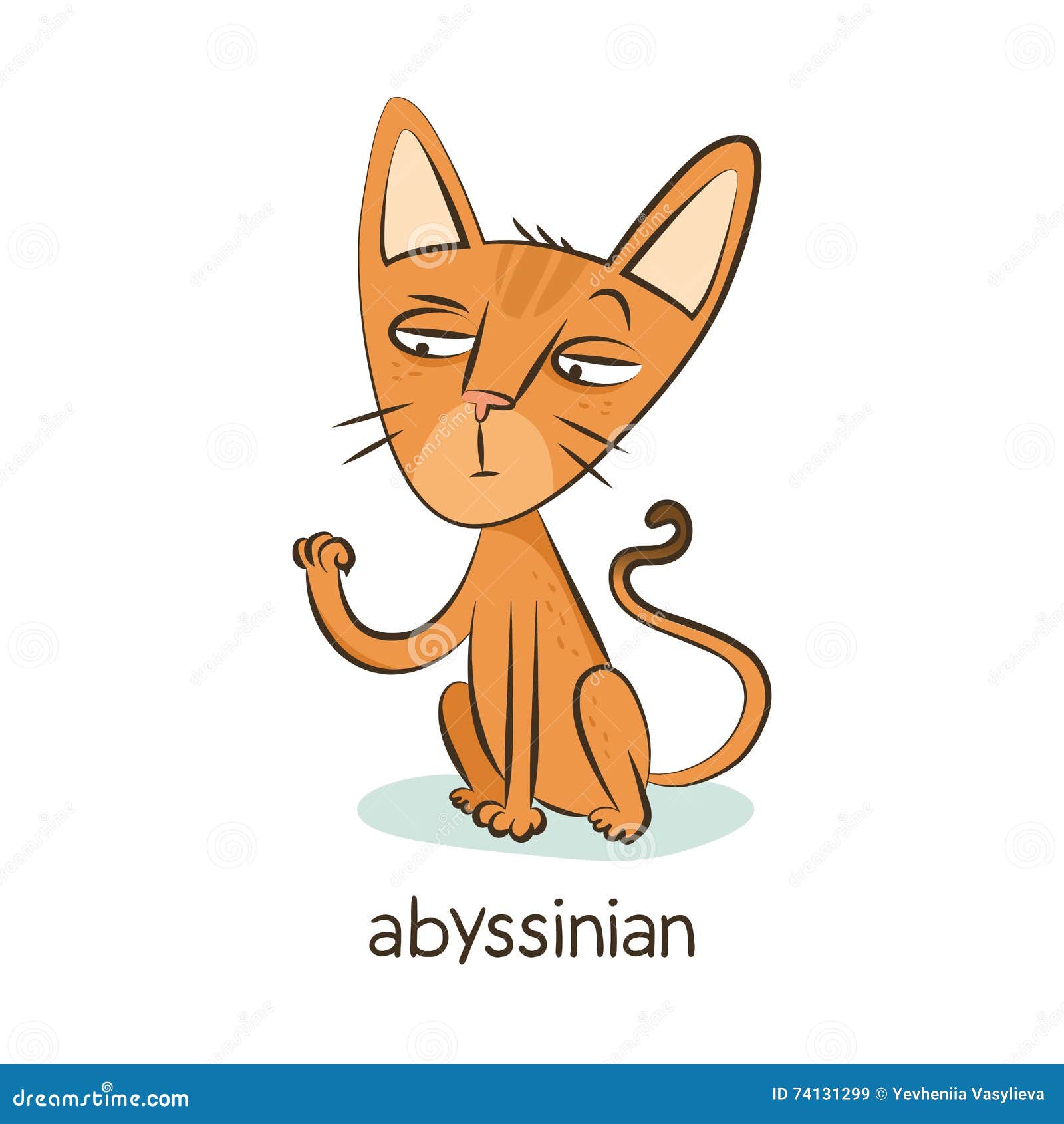 Cat Abyssinian Cartoon Vector Illustration | CartoonDealer.com #71744534